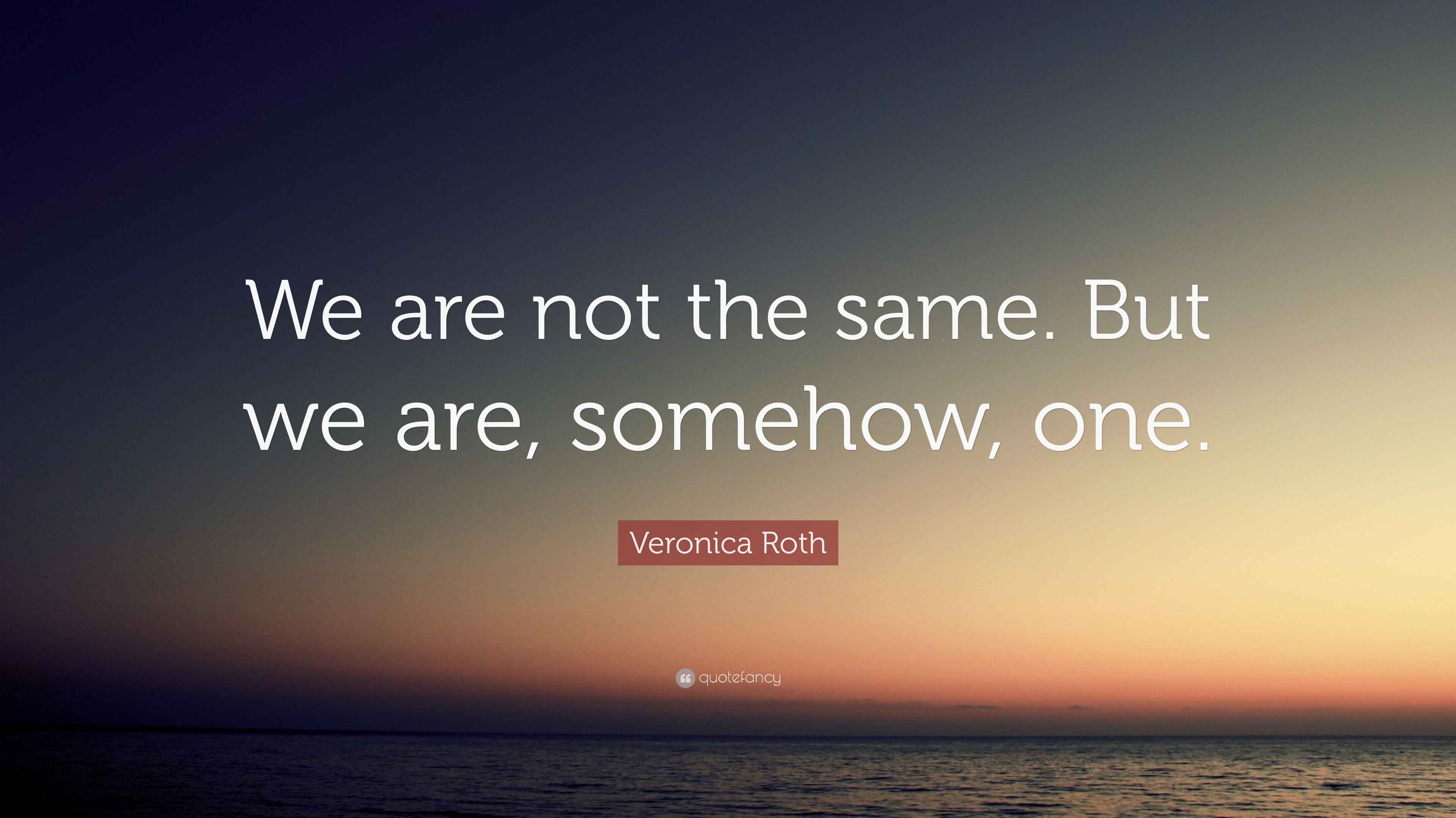Veronica Roth Quote: “We are not the same. But we are, somehow, one.”
