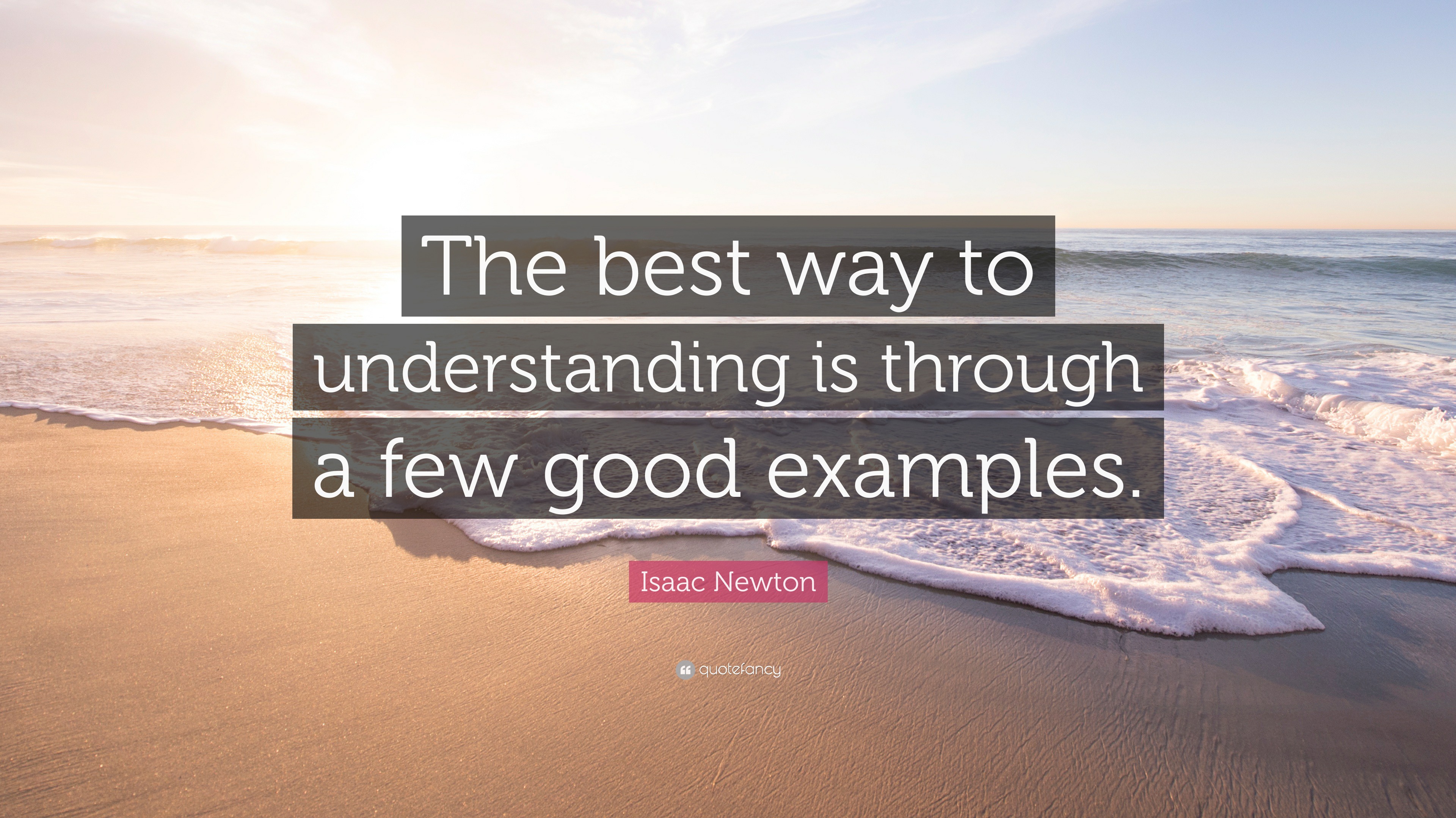 Isaac Newton Quote: “The best way to understanding is through a few ...