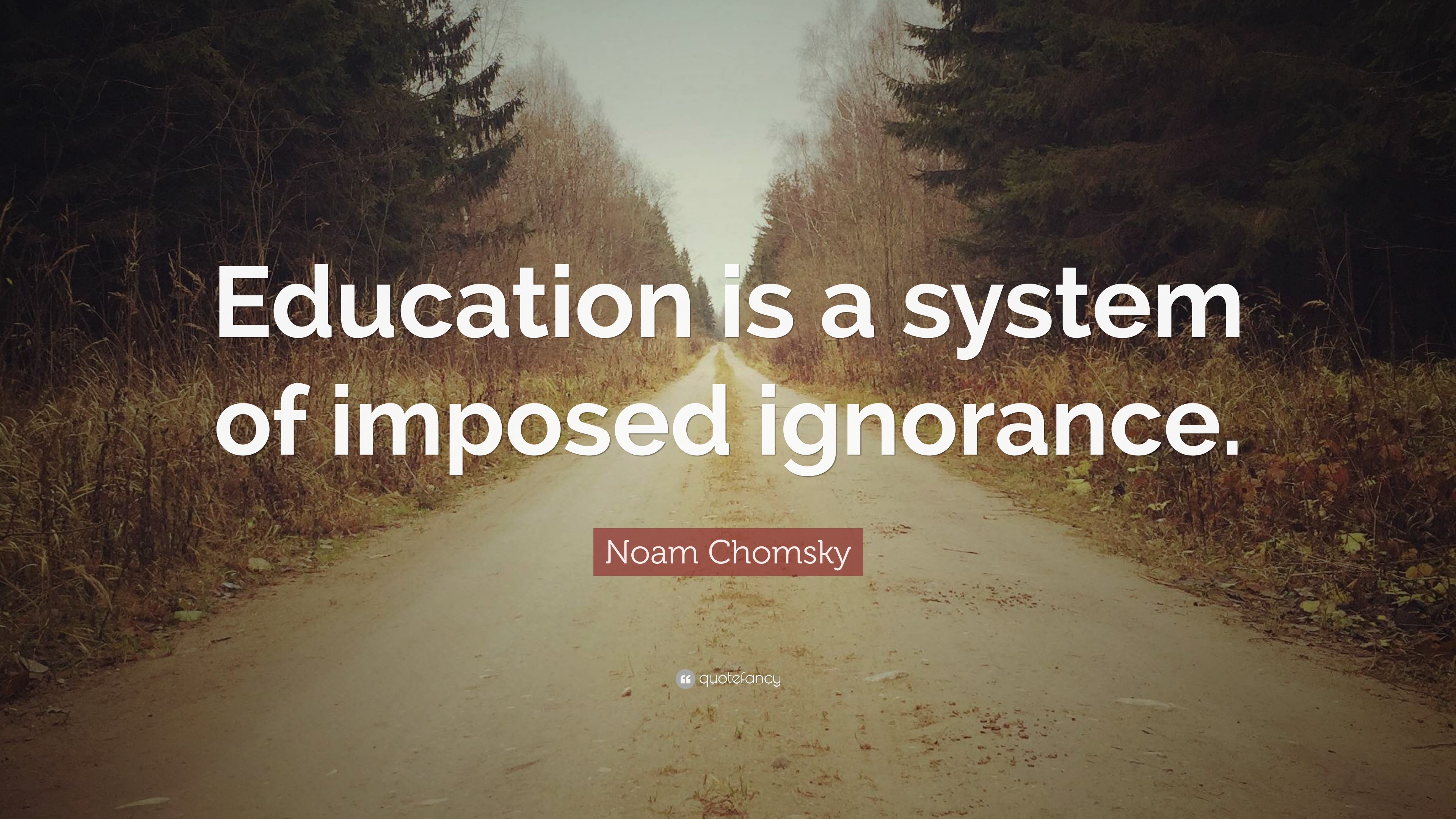 Noam Chomsky Quote: “Education is a system of imposed ignorance.”