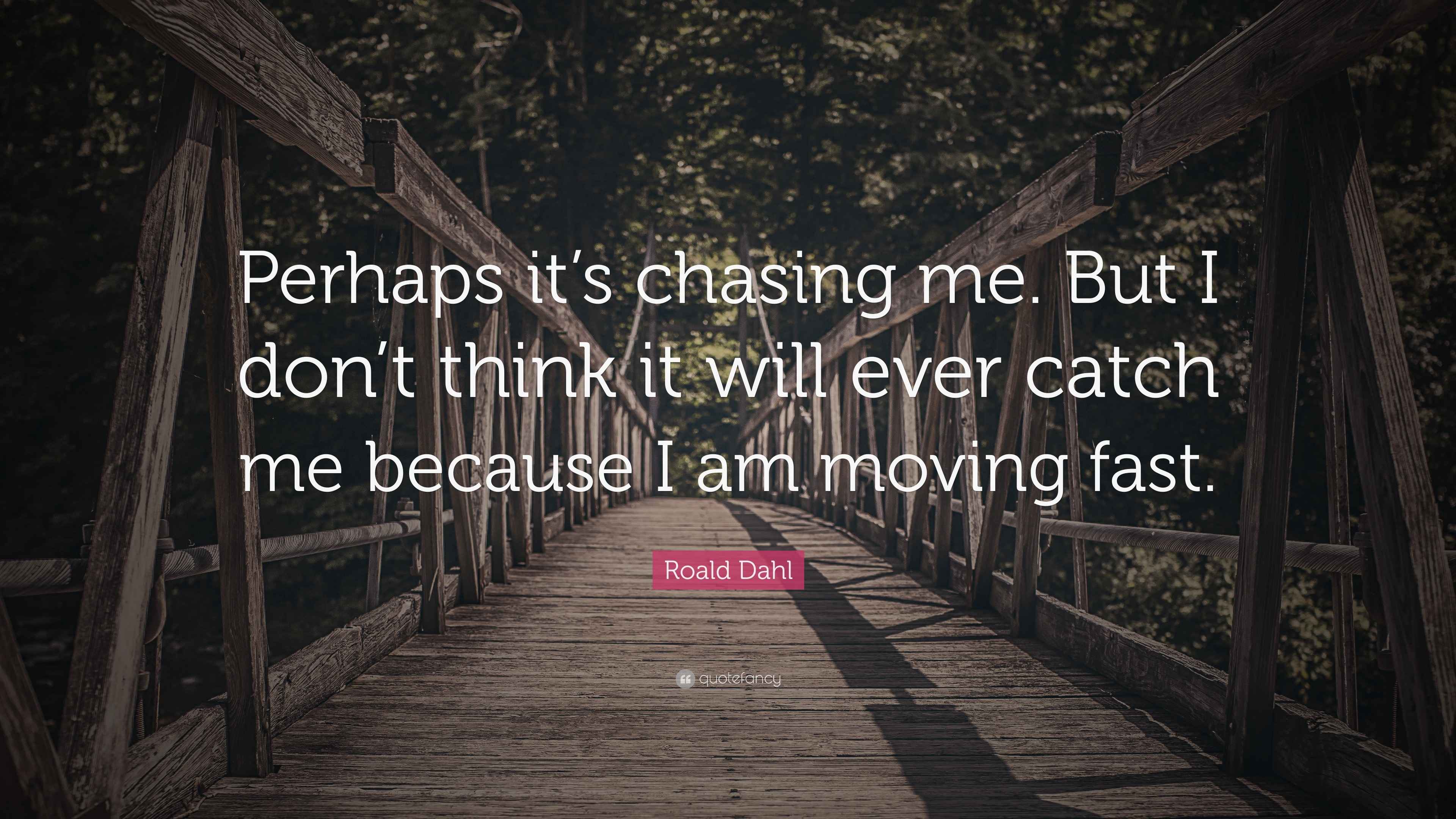 Roald Dahl Quote: “Perhaps it’s chasing me. But I don’t think it will ...