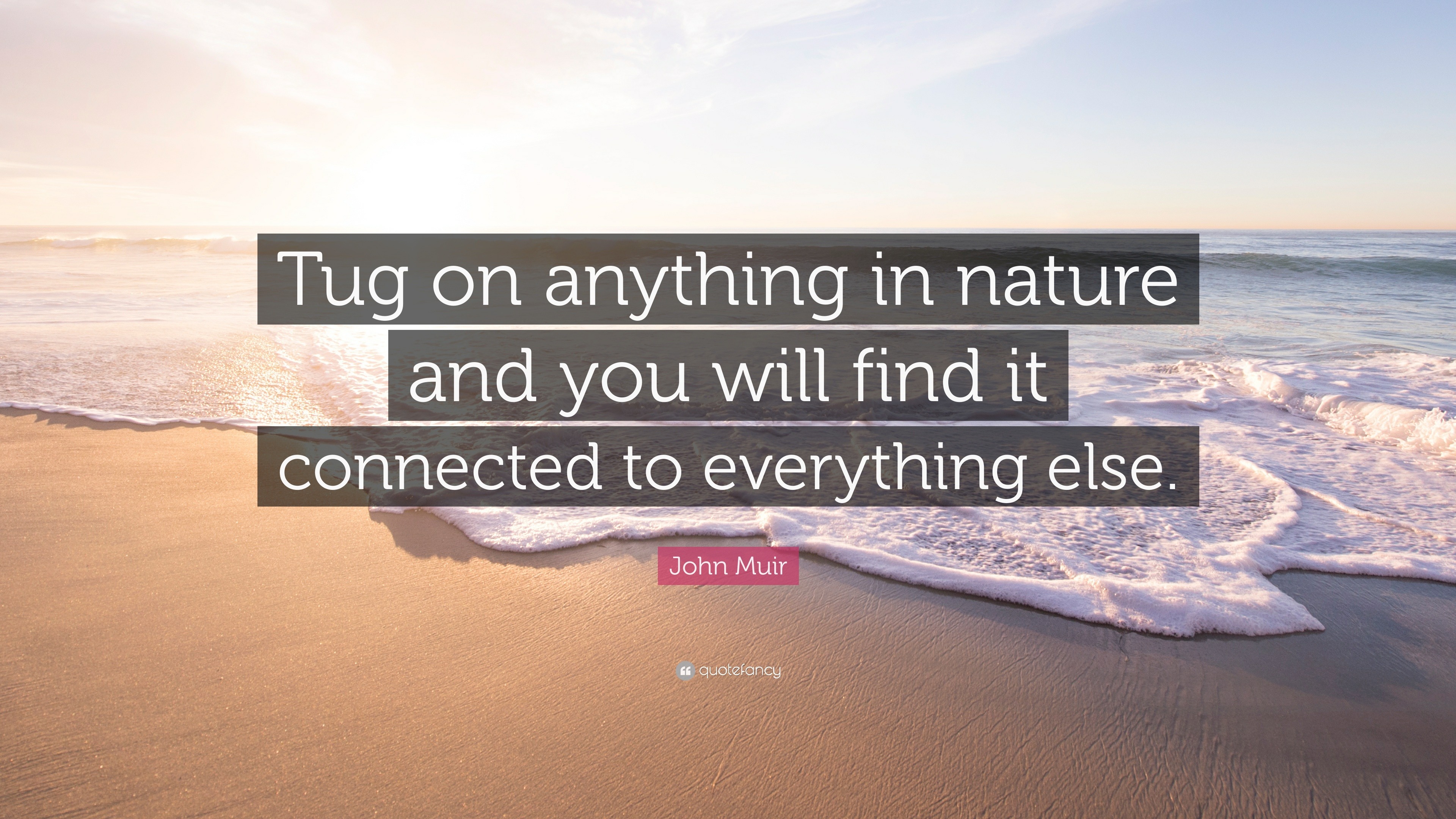 John Muir Quote: “Tug on anything in nature and you will find it ...