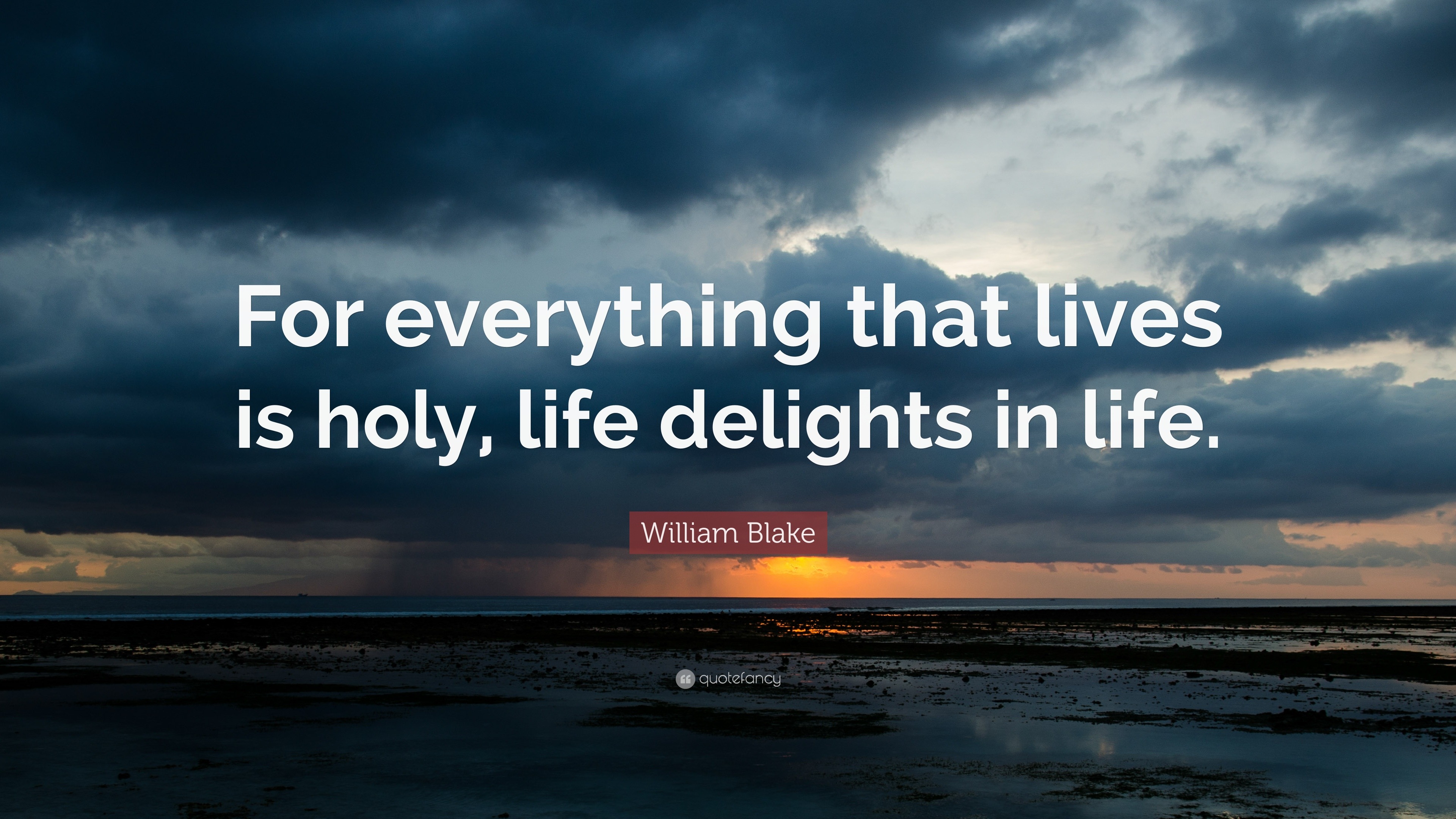 William Blake Quote: “For everything that lives is holy, life delights ...
