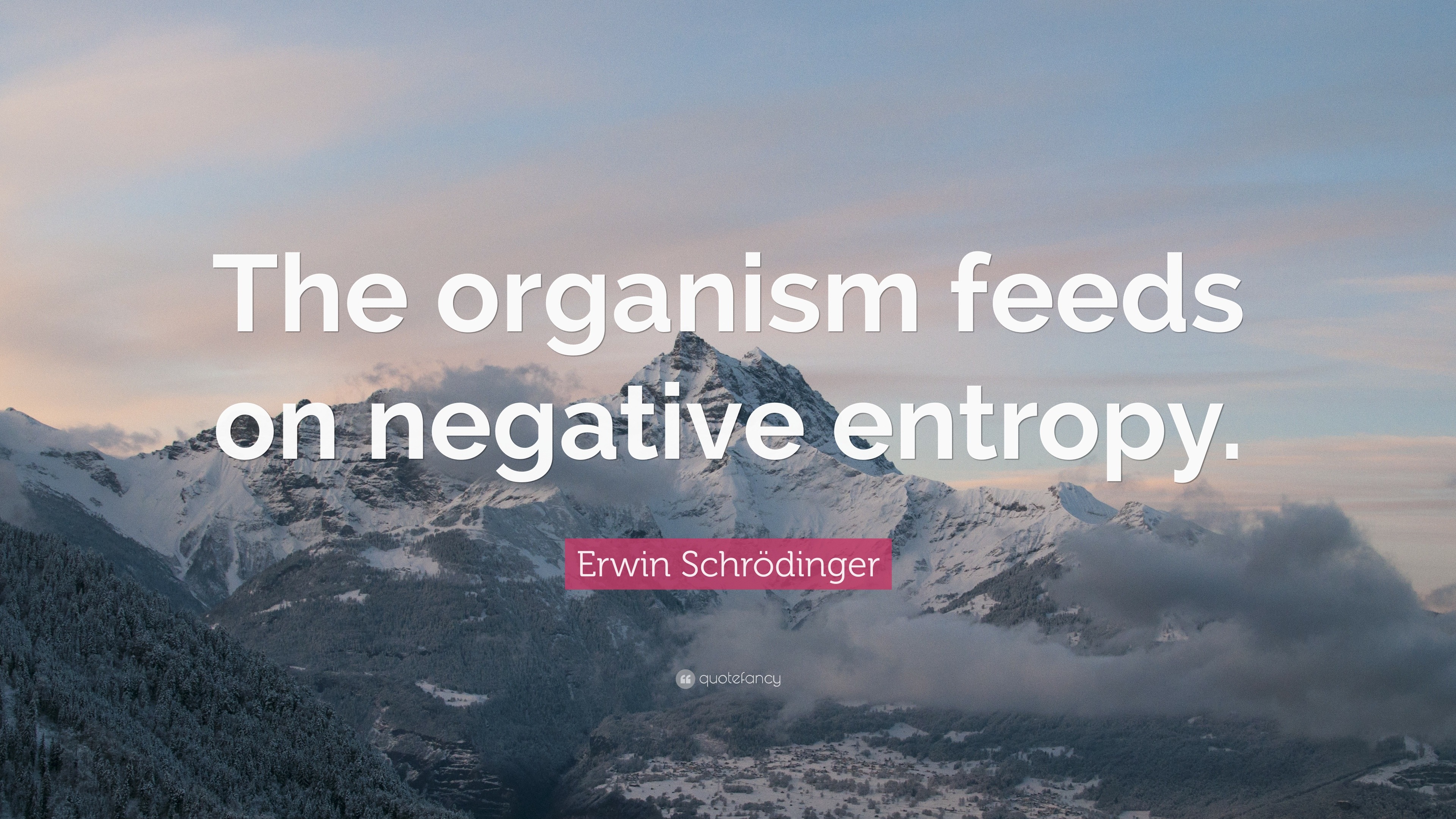 Erwin Schrödinger Quote: “The organism feeds on negative entropy.”
