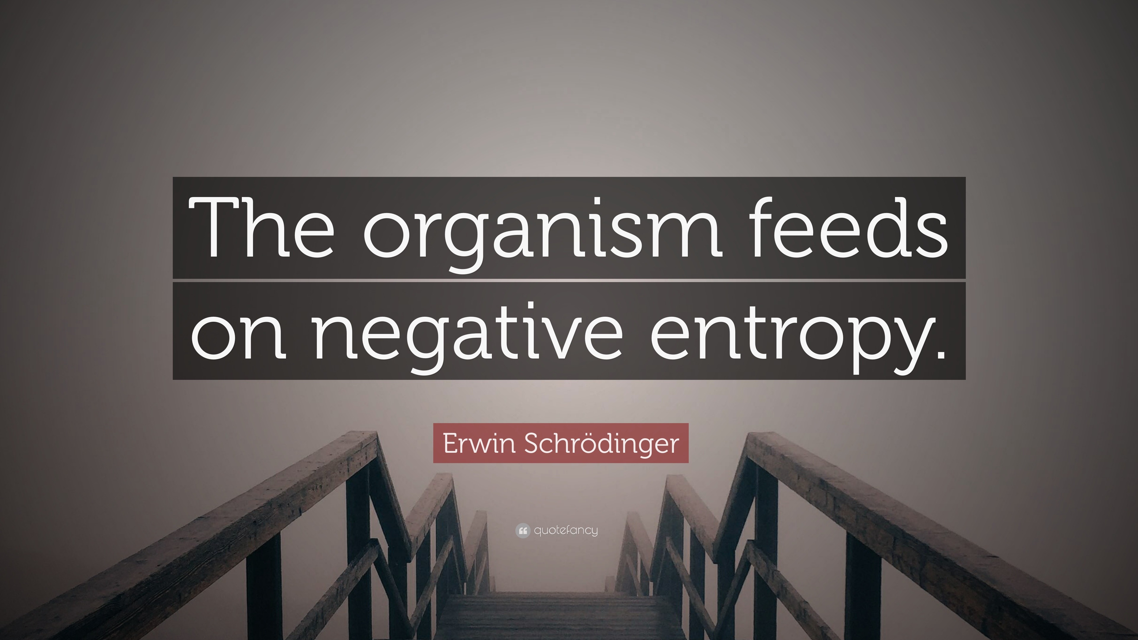 Erwin Schrödinger Quote: “The organism feeds on negative entropy.”