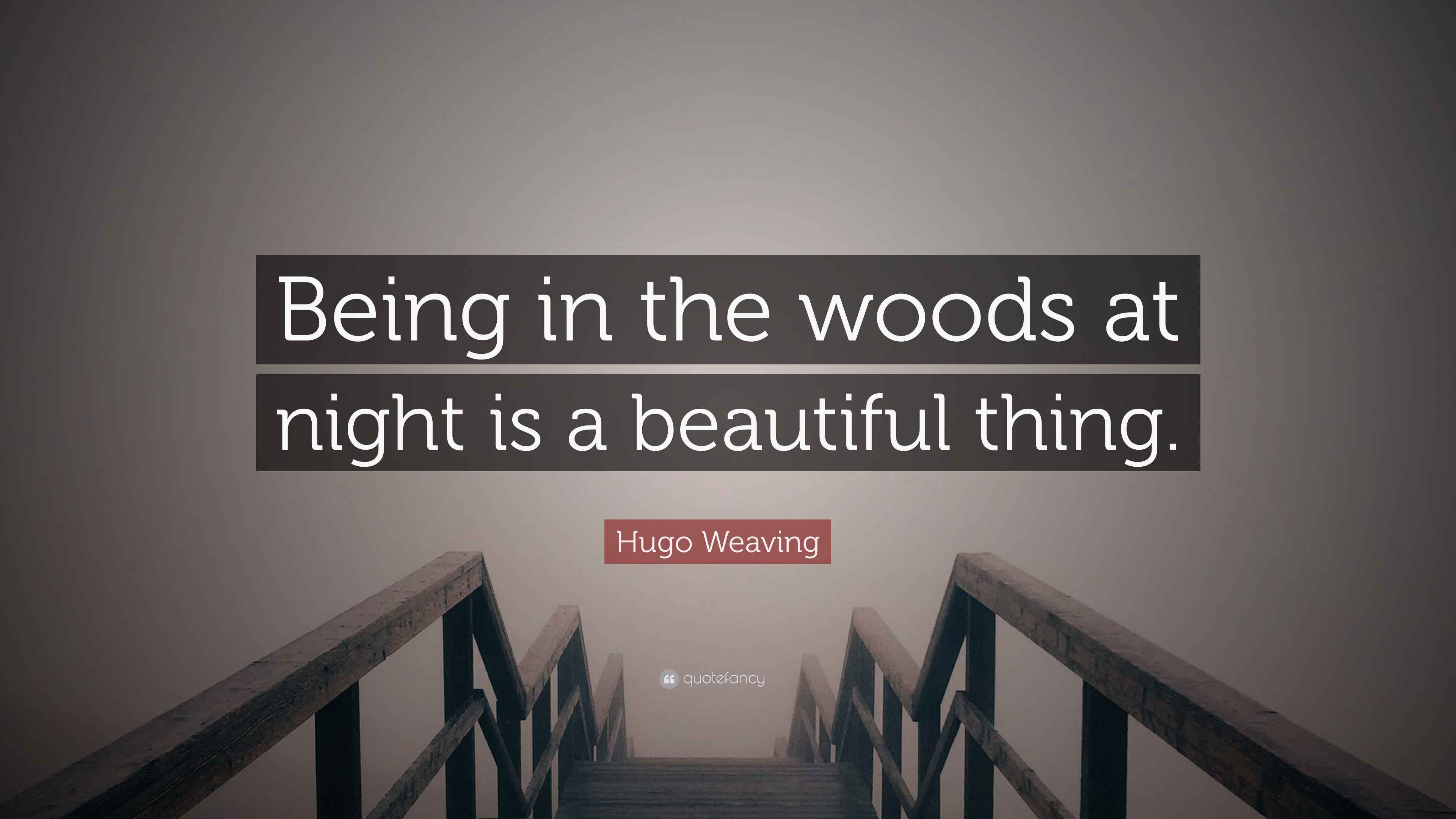 Hugo Weaving Quote: “Being in the woods at night is a beautiful thing.”
