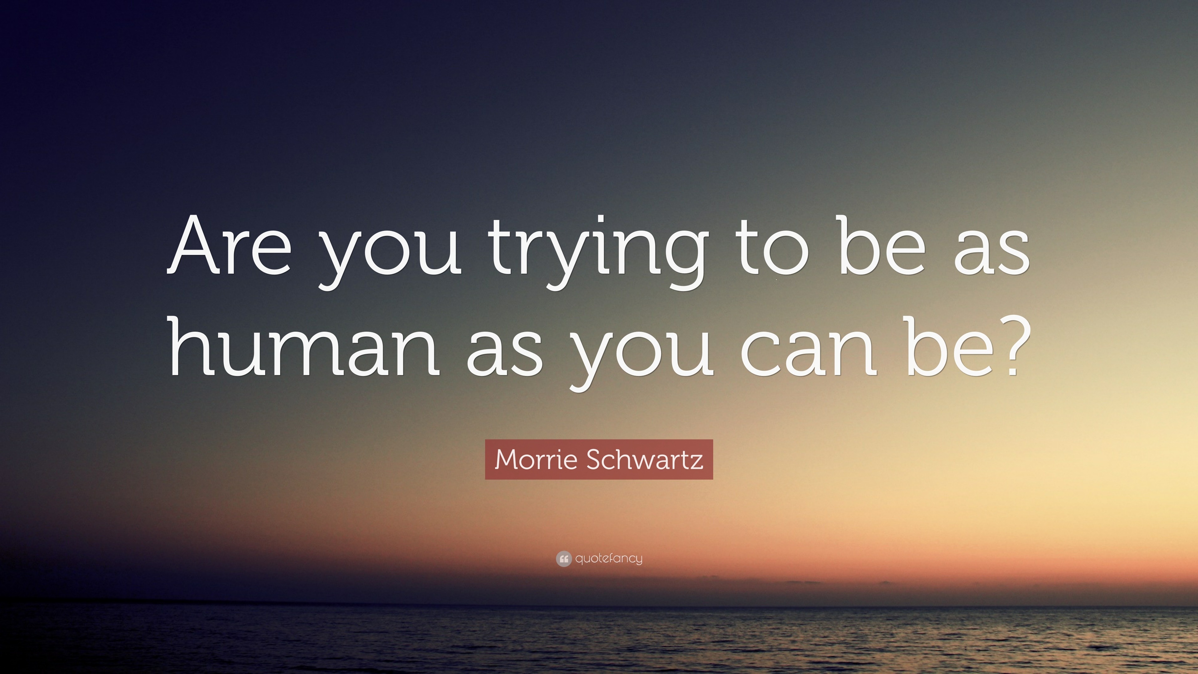 Morrie Schwartz Quote: “Are you trying to be as human as you can be?”
