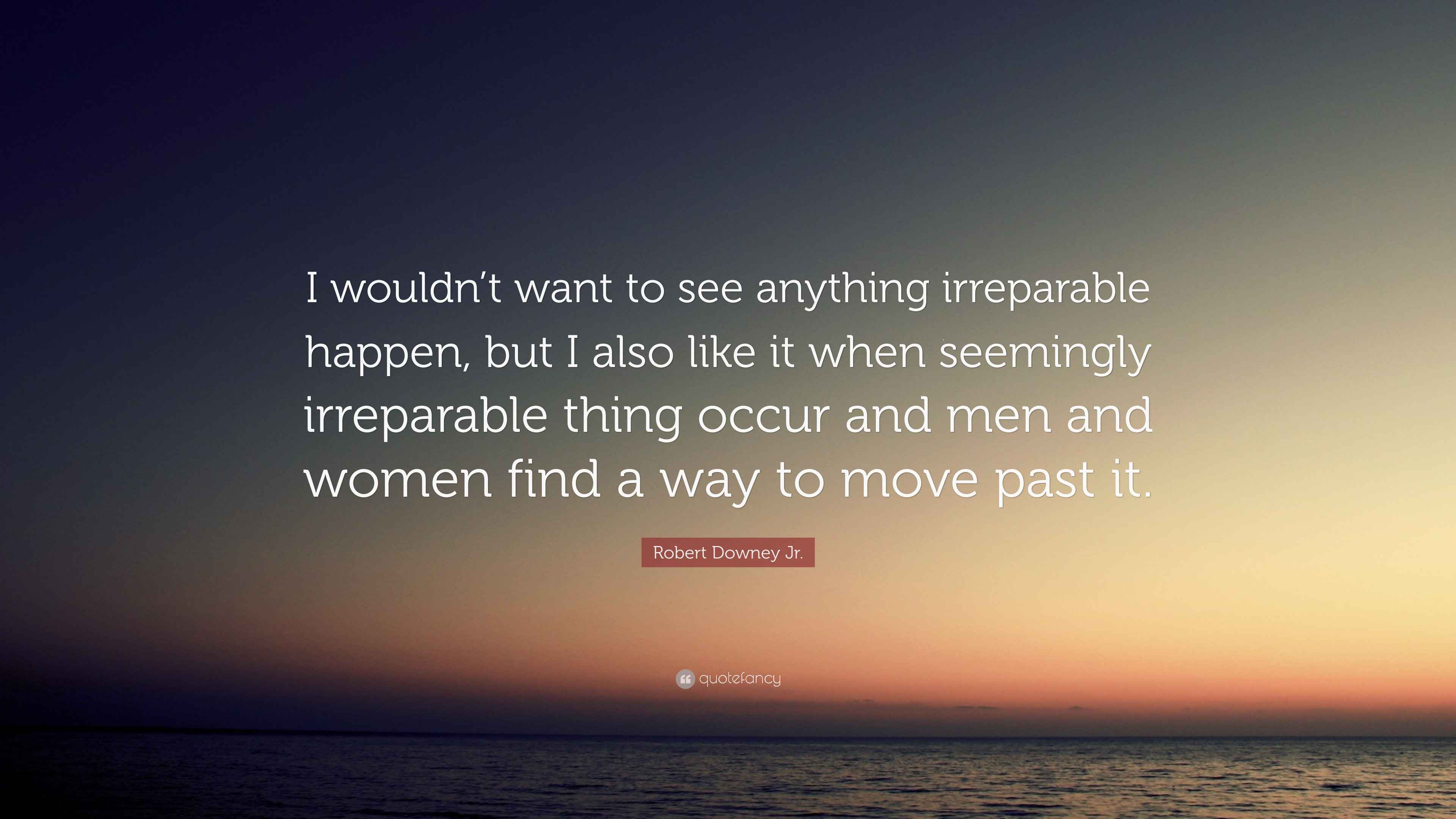 Robert Downey Jr. Quote: “I wouldn’t want to see anything irreparable ...