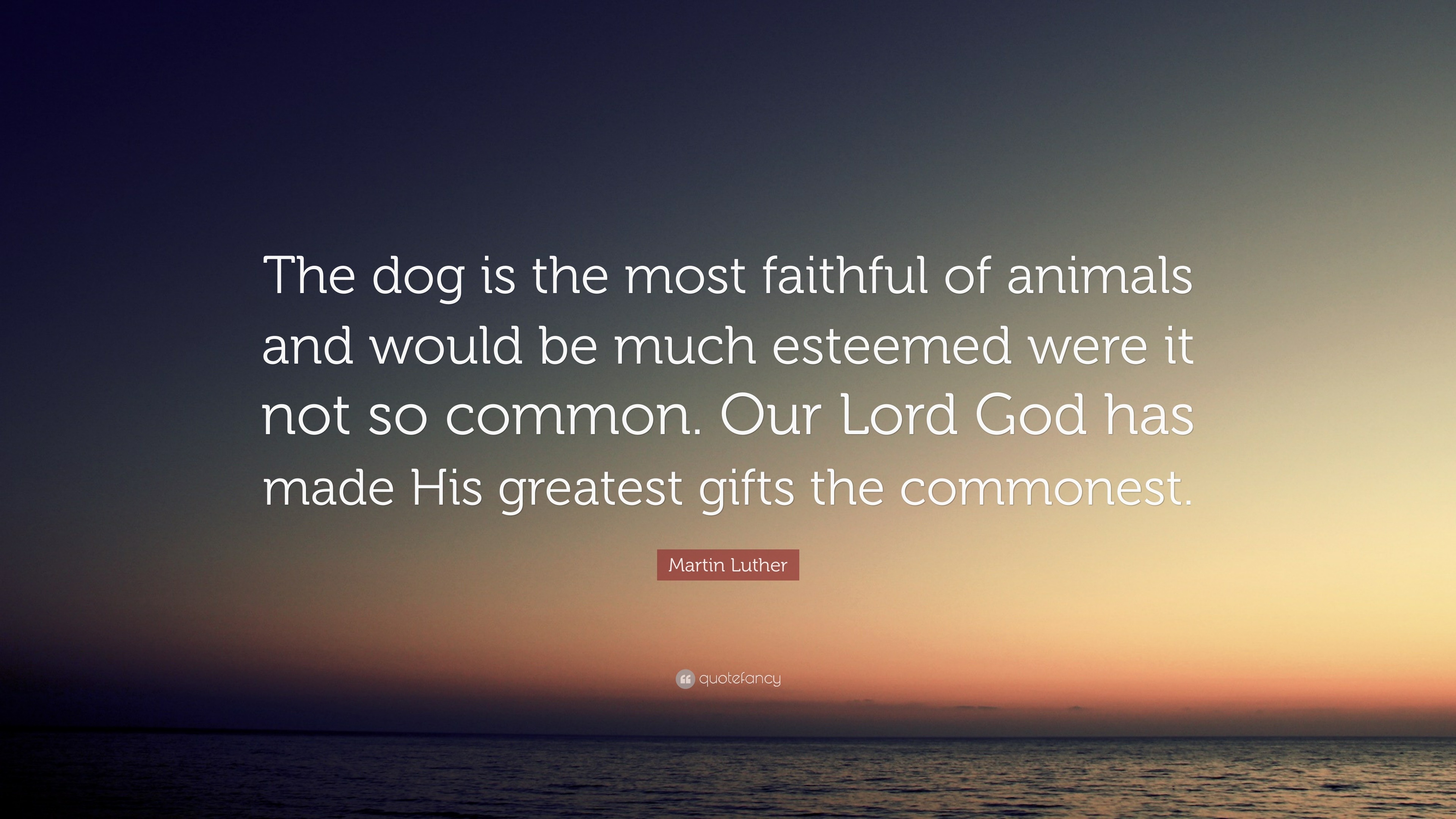 Martin Luther Quote: “The dog is the most faithful of animals and would ...