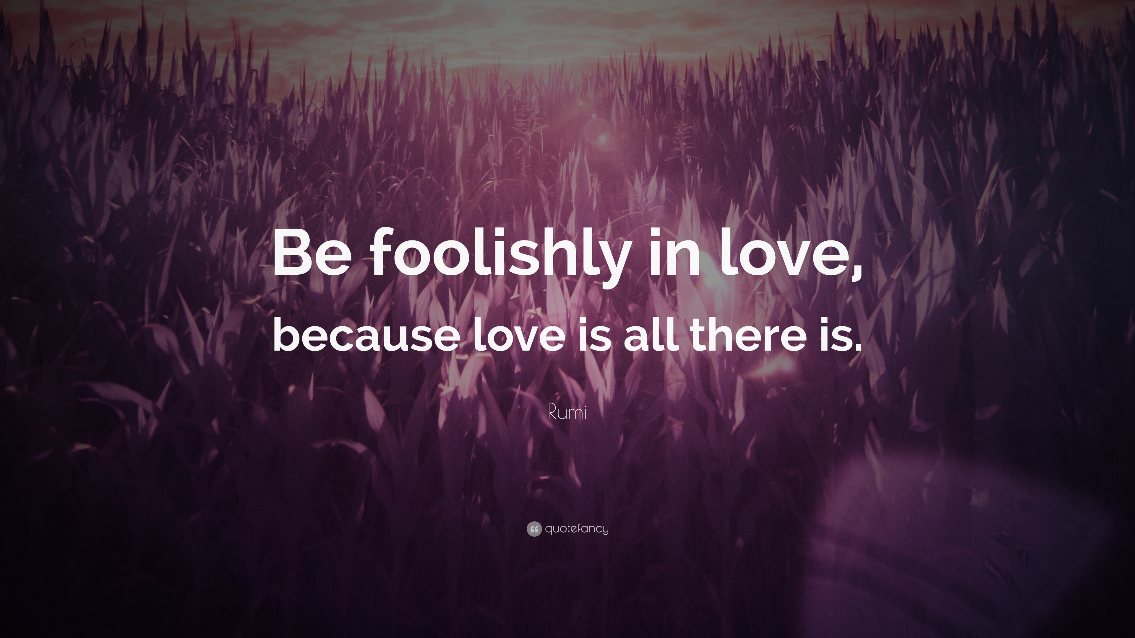Rumi Quote: “Be foolishly in love, because love is all there is.”