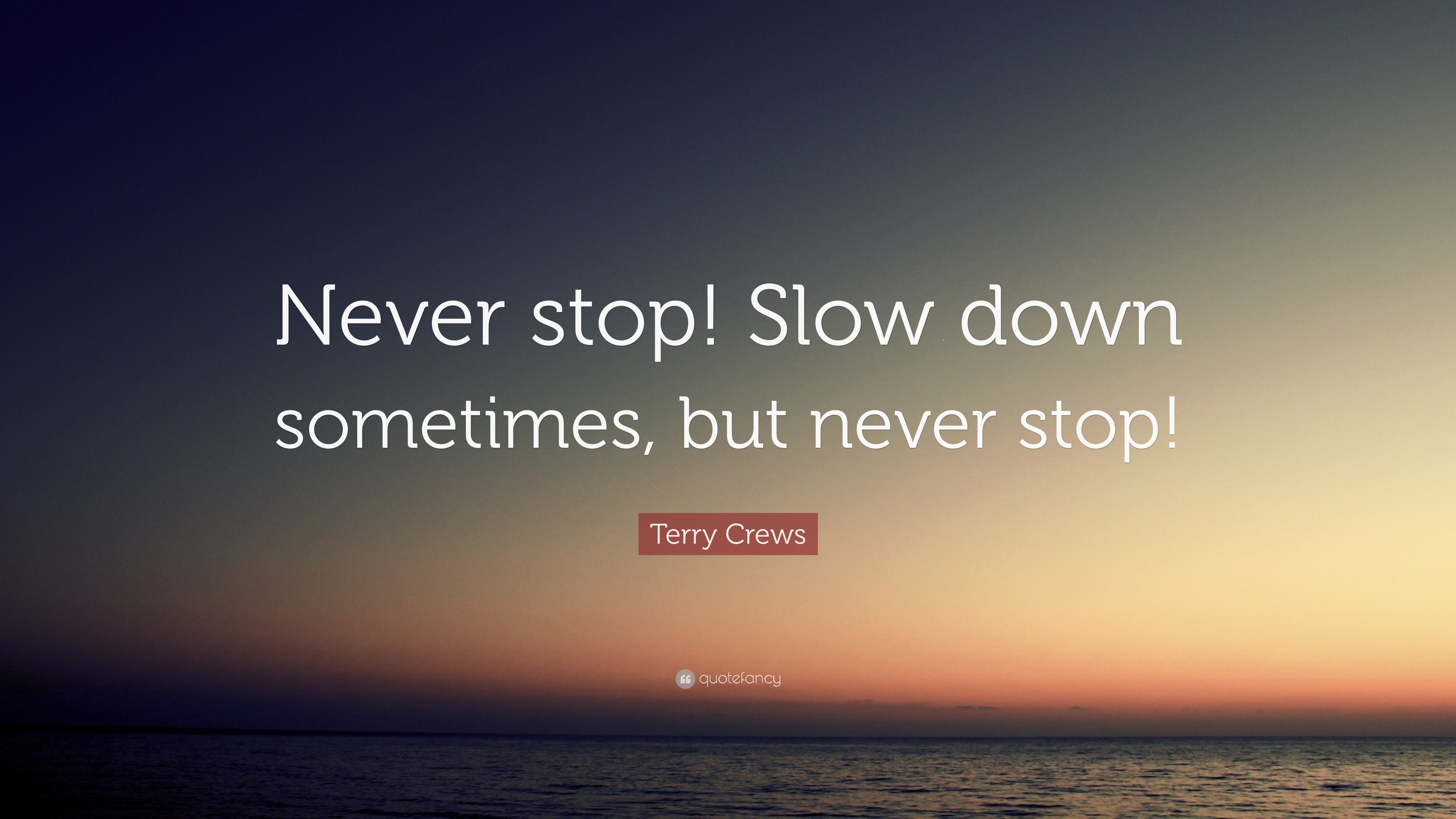 Terry Crews Quote: “Never stop! Slow down sometimes, but never stop!”