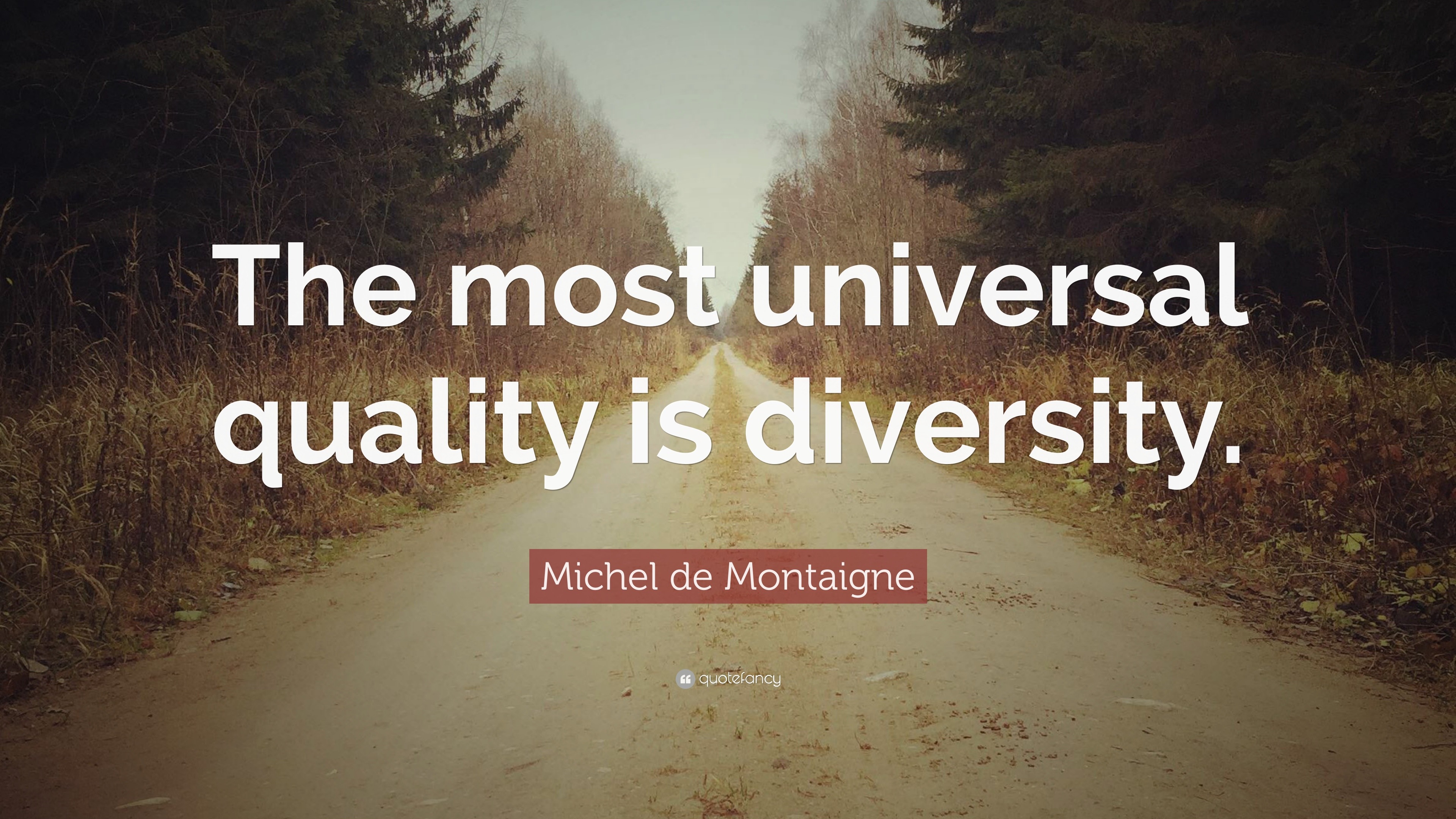 Michel de Montaigne Quote: “The most universal quality is diversity.”
