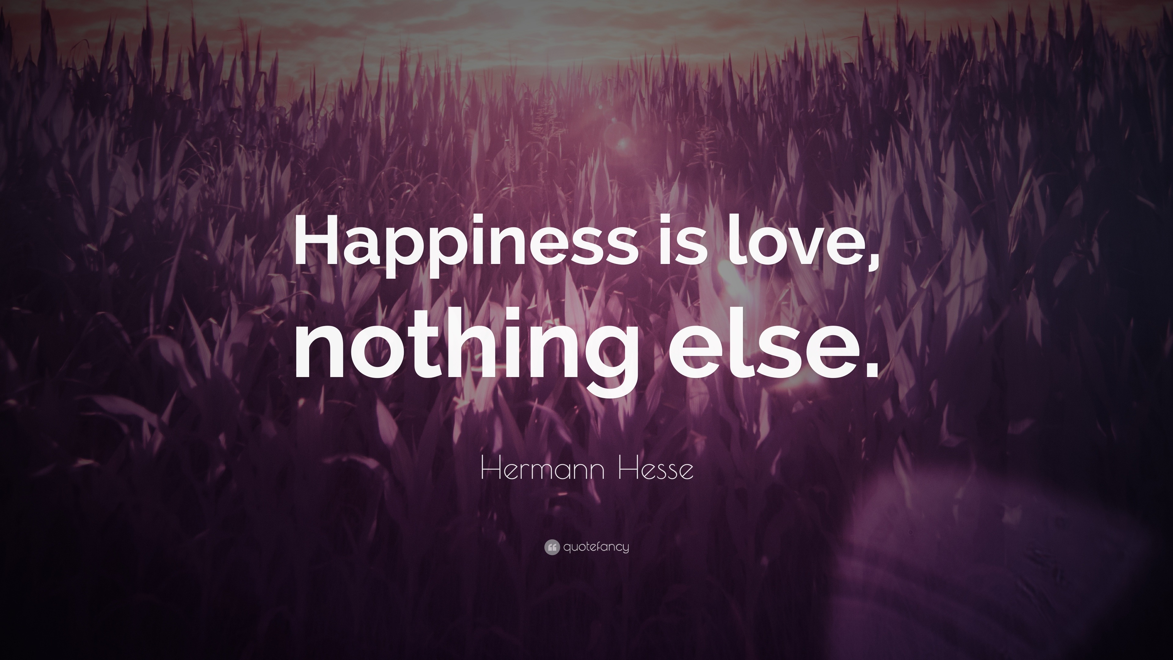 Hermann Hesse Quote: “Happiness is love, nothing else.”
