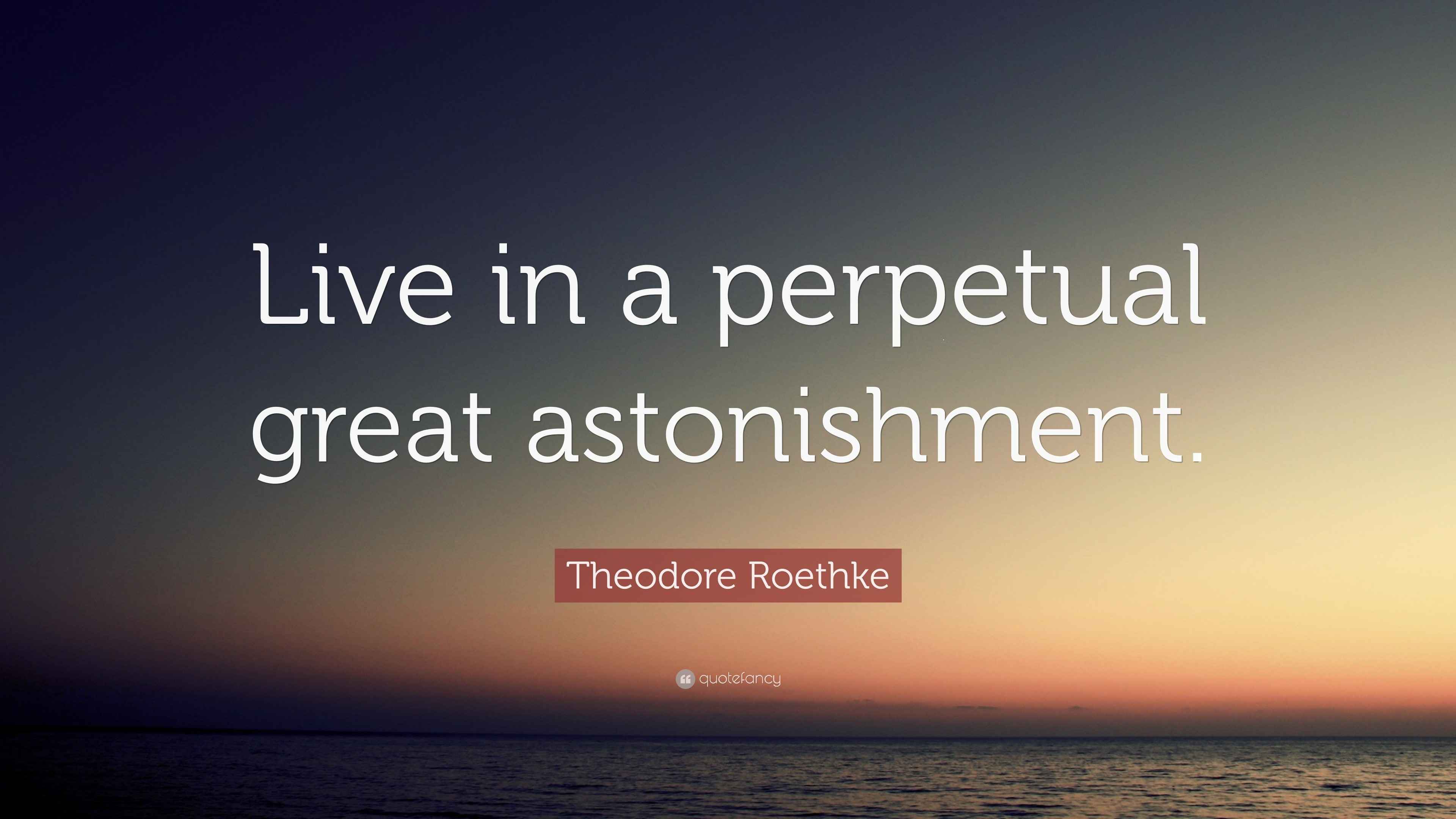 Theodore Roethke Quote: “Live in a perpetual great astonishment.”
