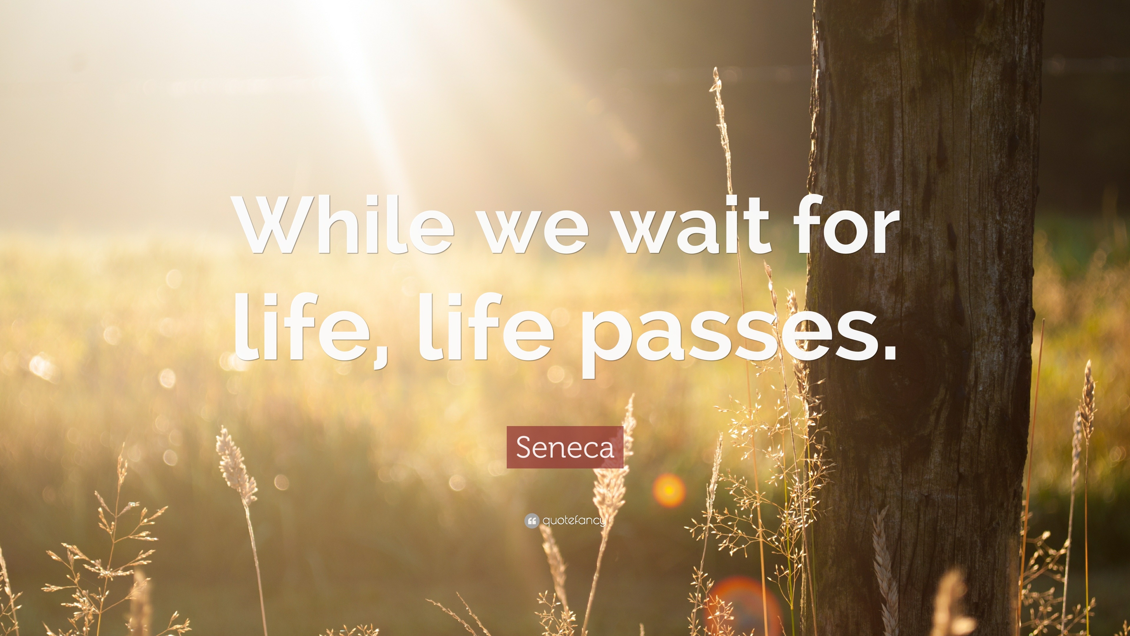 Seneca Quote: “While we wait for life, life passes.”
