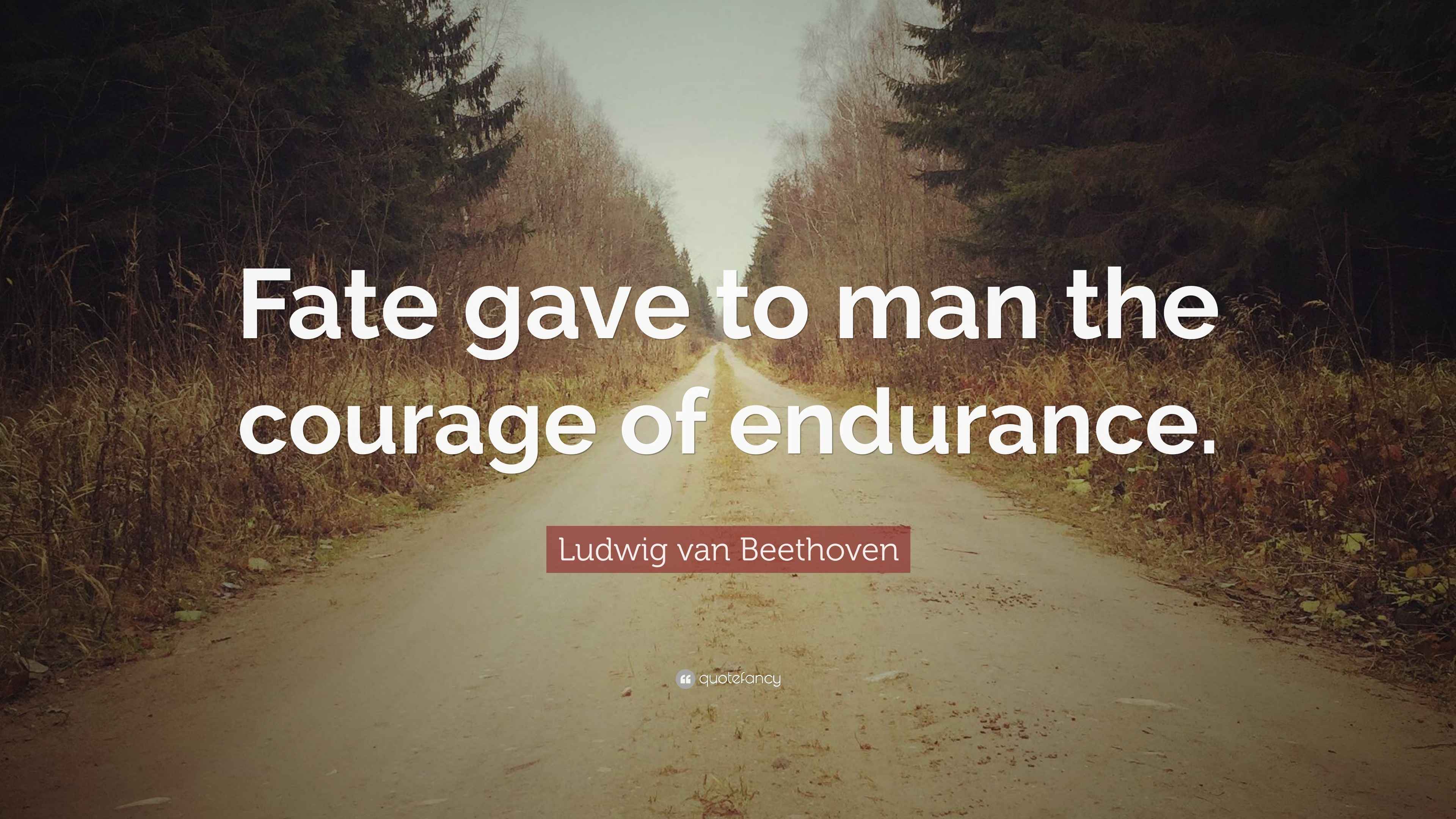 Ludwig van Beethoven Quote: “Fate gave to man the courage of endurance.”