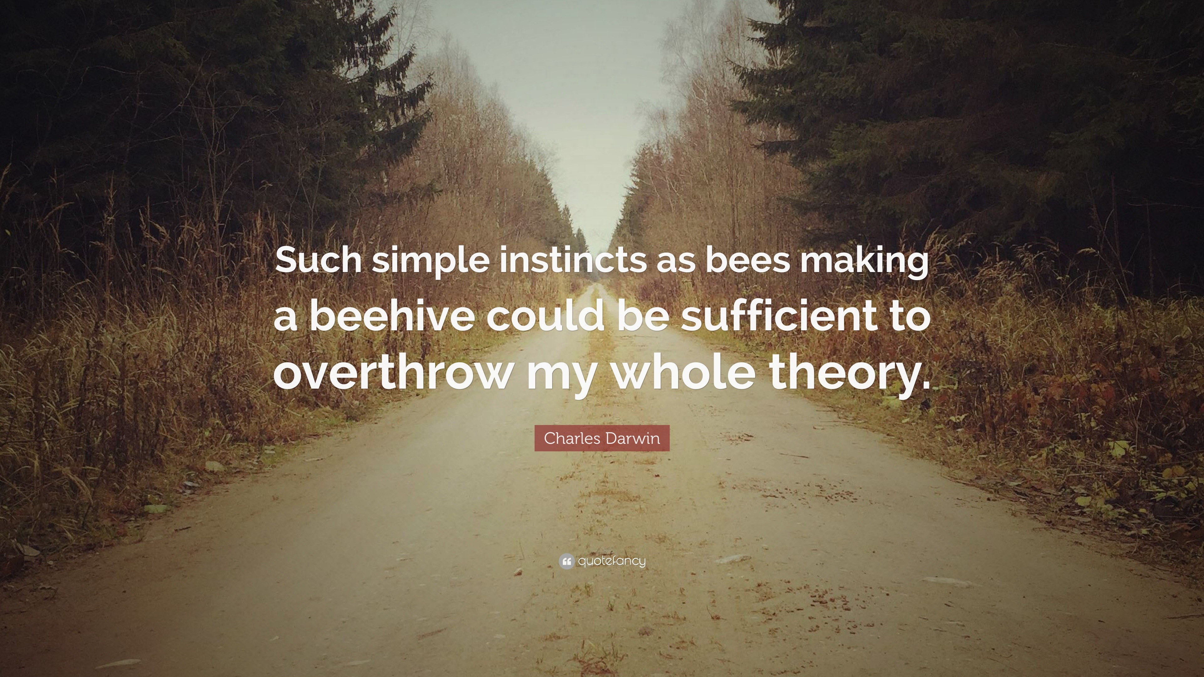 Charles Darwin Quote: “Such simple instincts as bees making a beehive ...