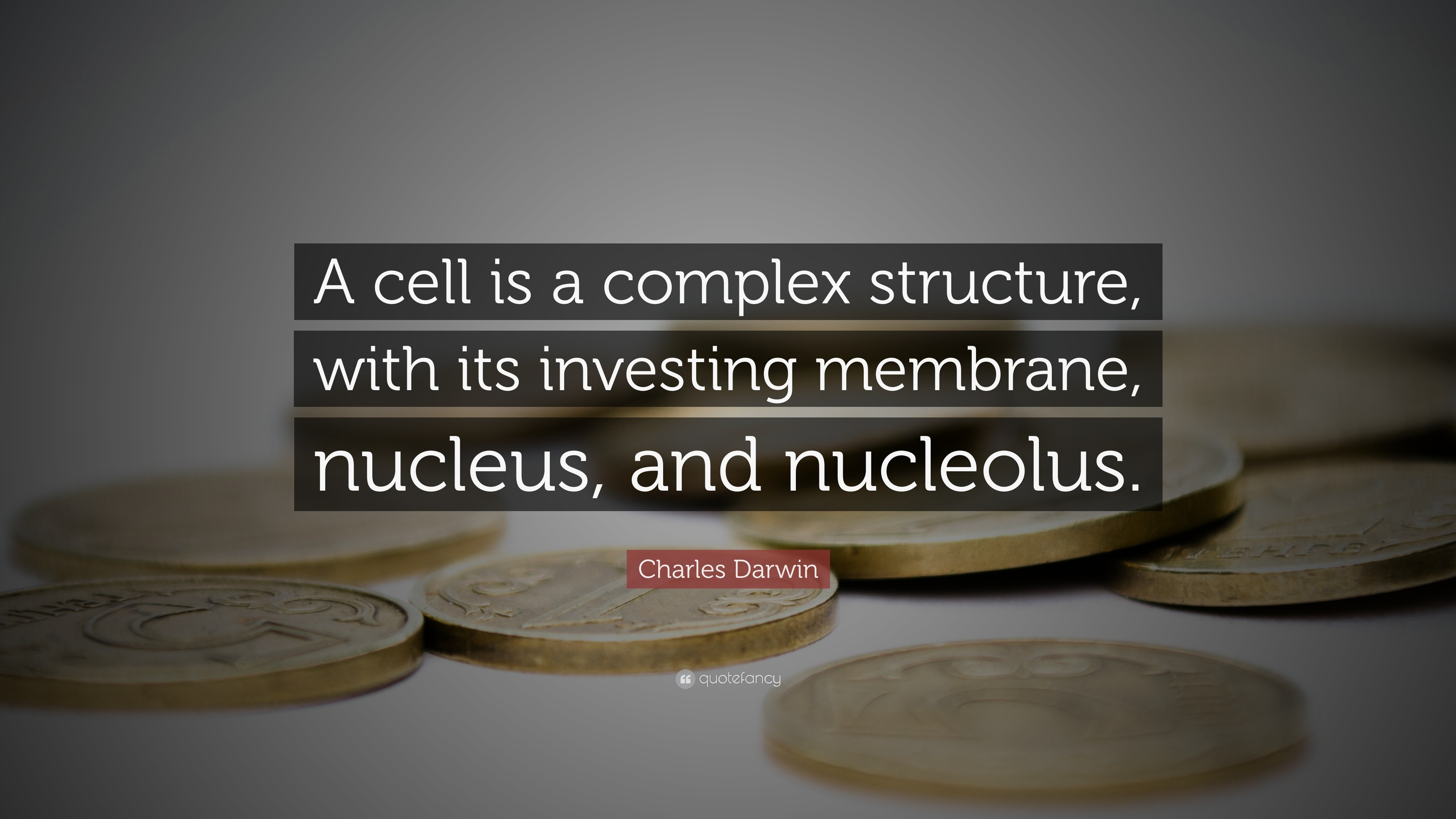 Charles Darwin Quote: “A cell is a complex structure, with its ...