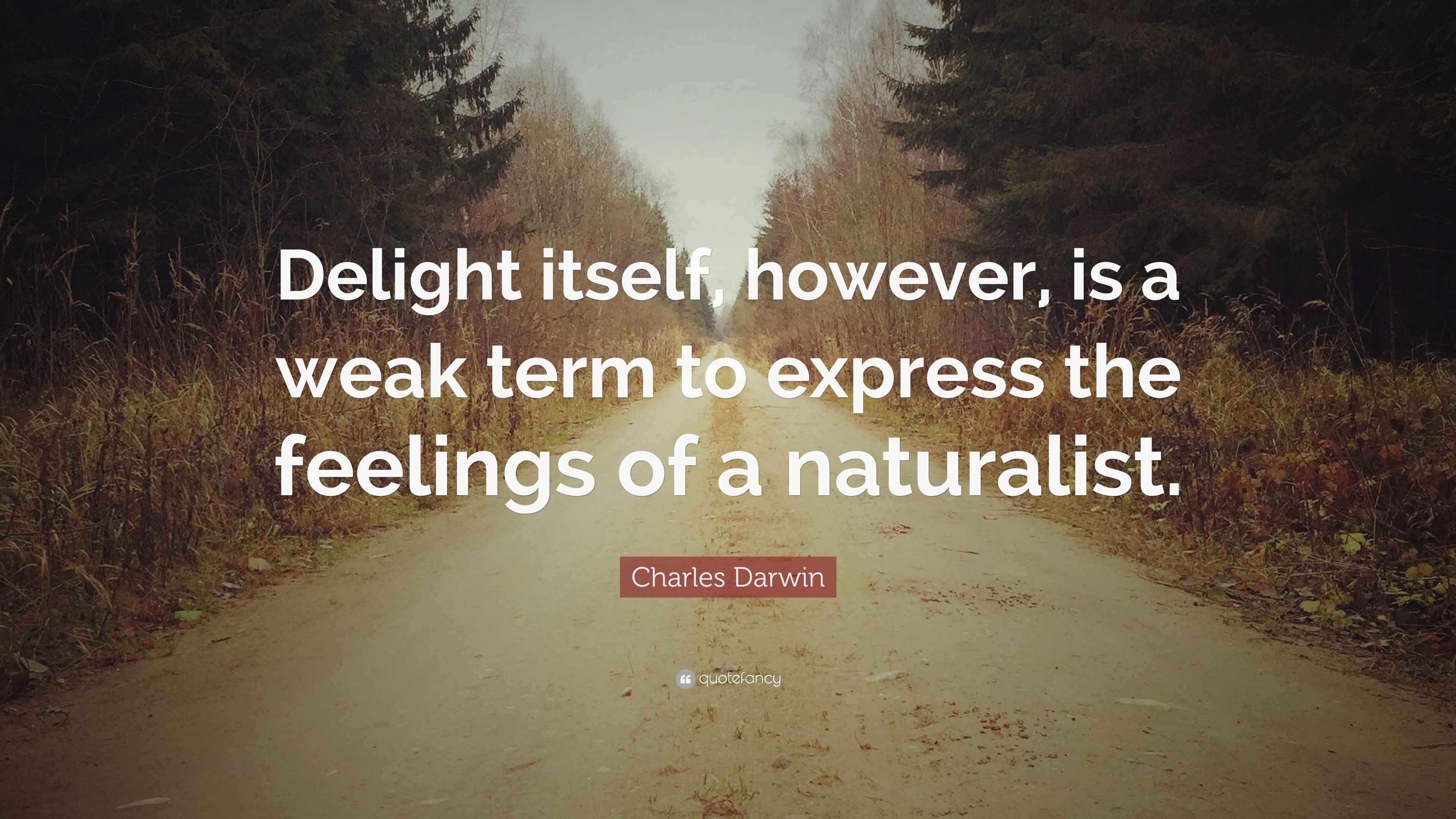 Charles Darwin Quote: “Delight itself, however, is a weak term to ...