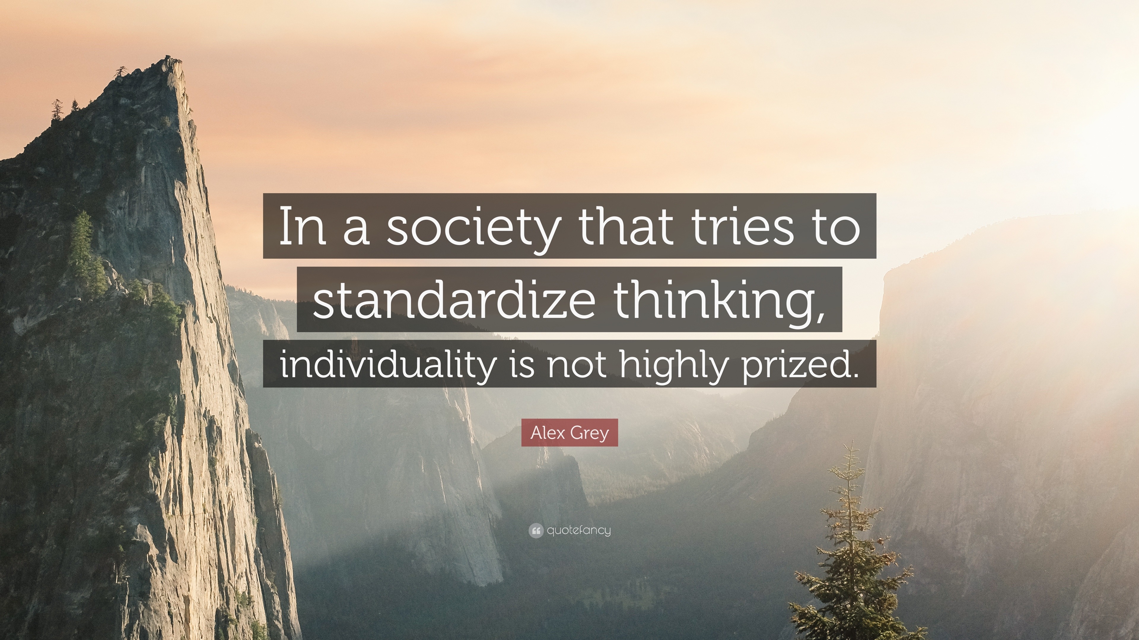 Alex Grey Quote: “In a society that tries to standardize thinking ...