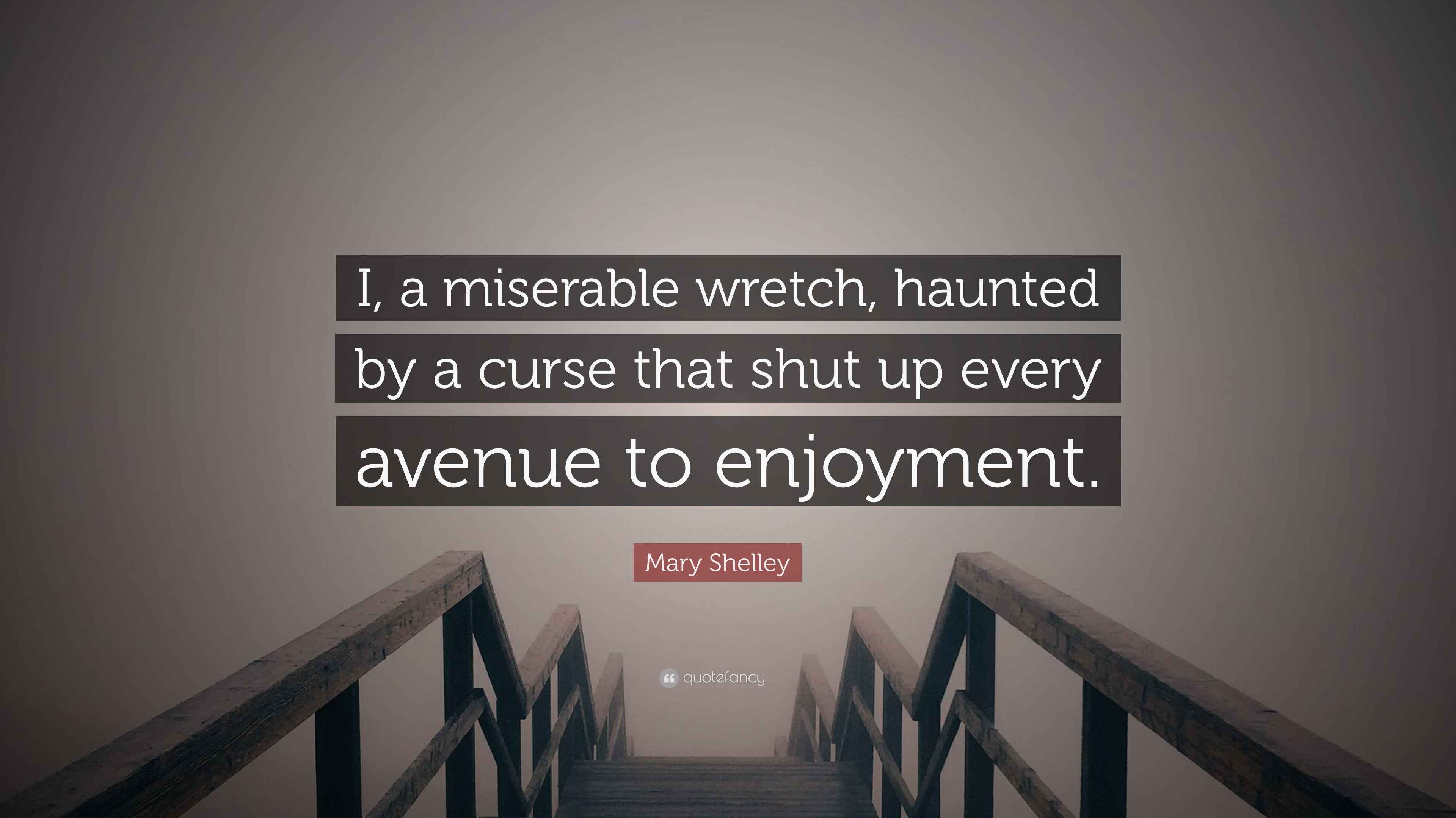 Mary Shelley Quote: “I, a miserable wretch, haunted by a curse that ...
