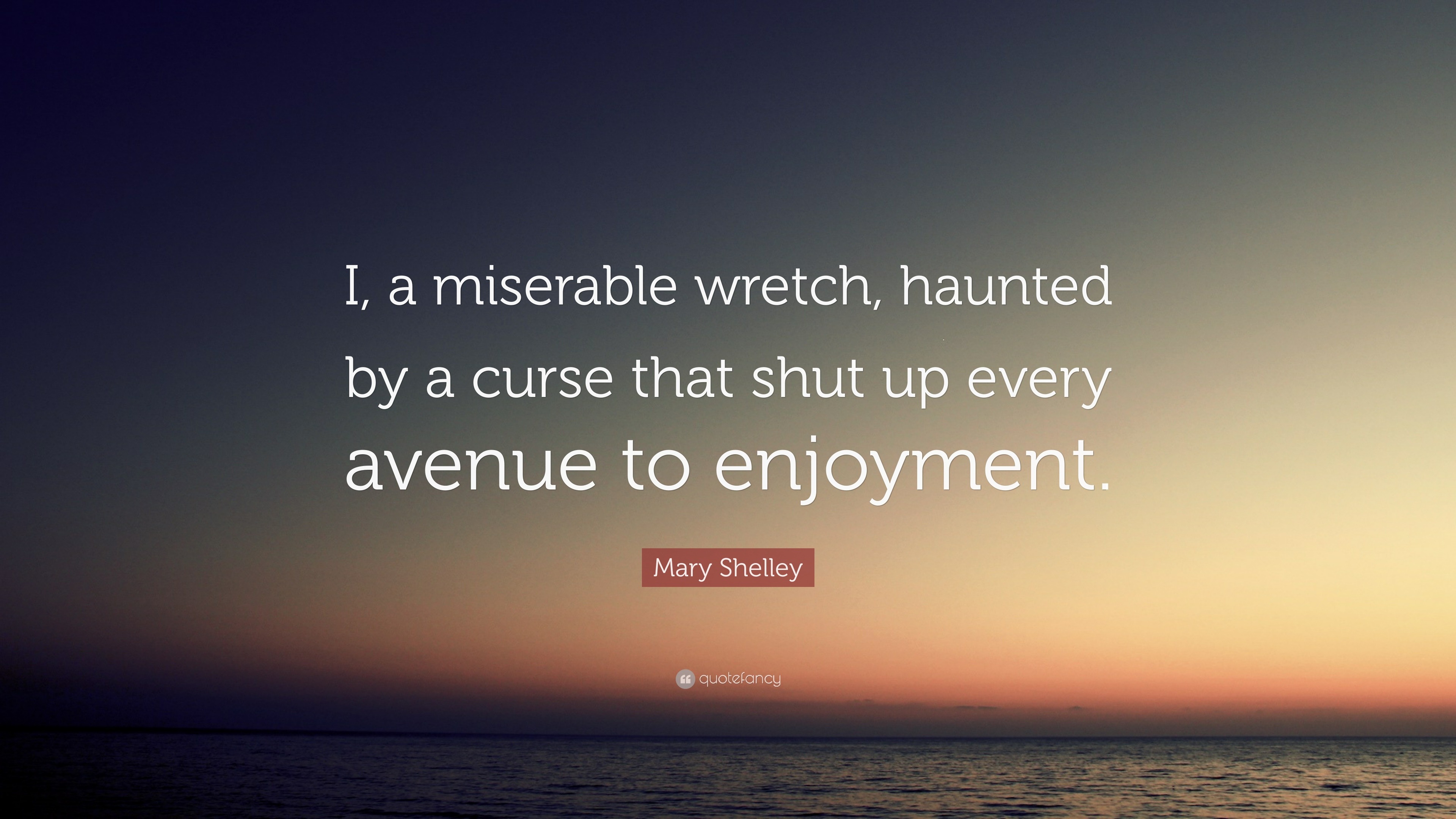 Mary Shelley Quote: “I, a miserable wretch, haunted by a curse that ...