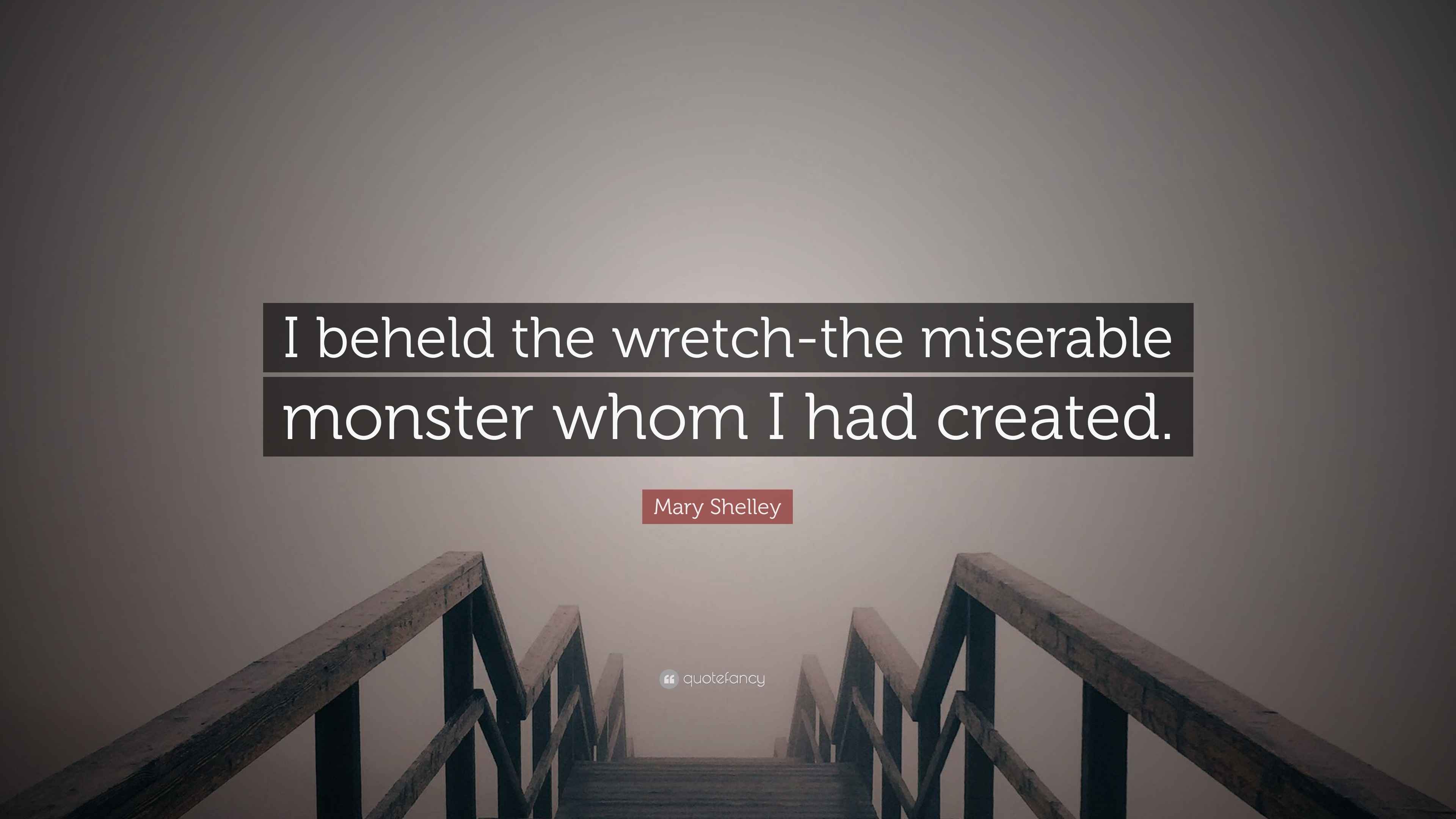 Mary Shelley Quote: “I beheld the wretch-the miserable monster whom I ...