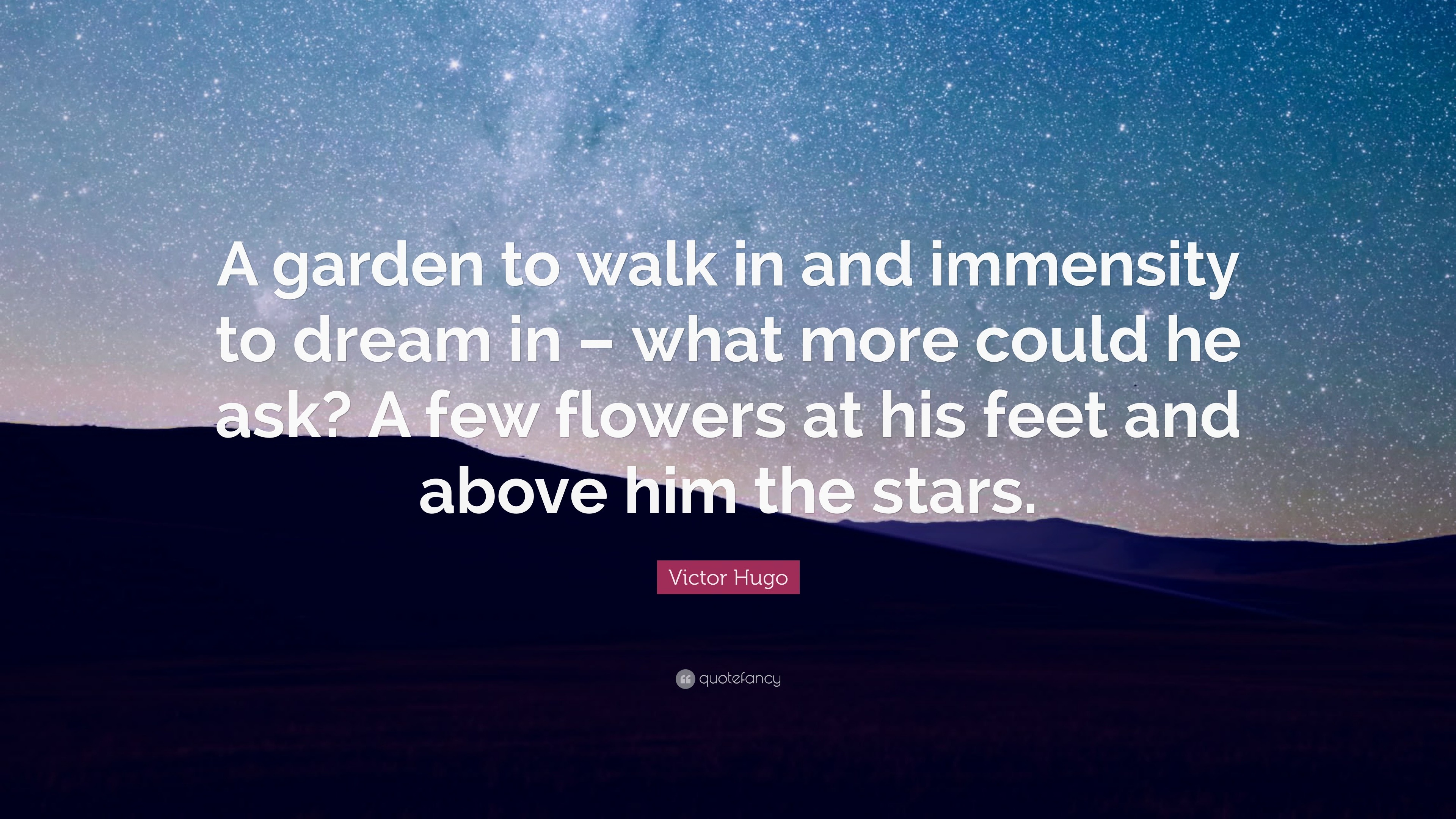 Victor Hugo Quote: “A garden to walk in and immensity to dream in ...