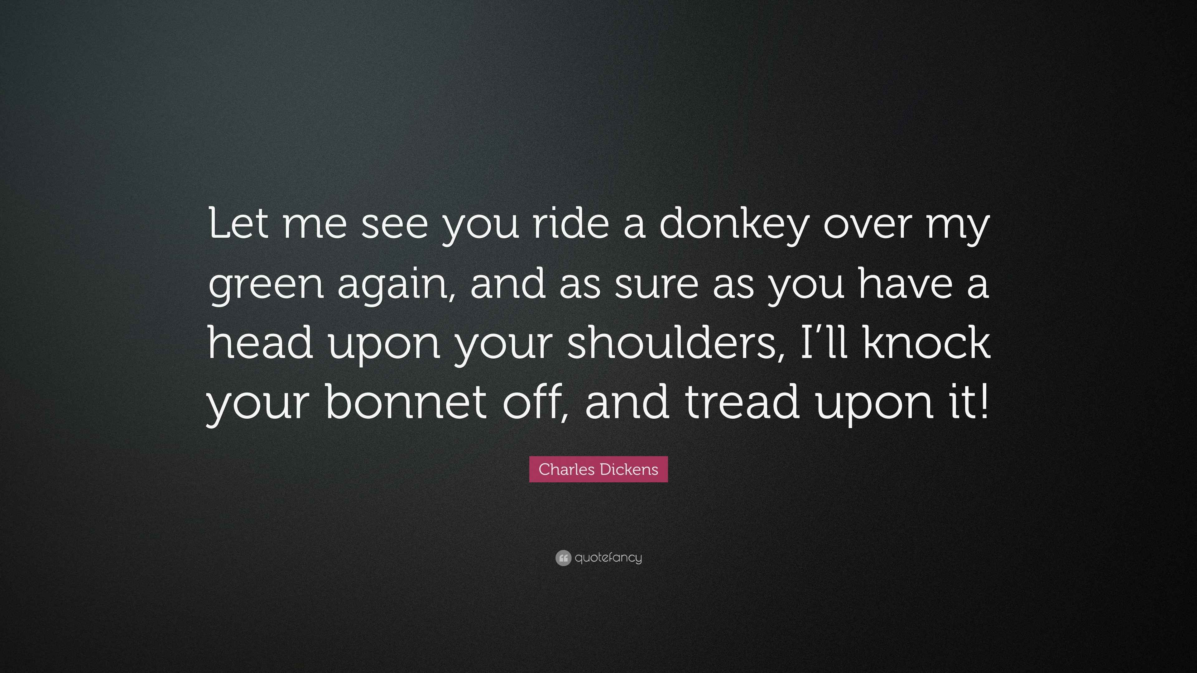 Donkey Ride Quotes