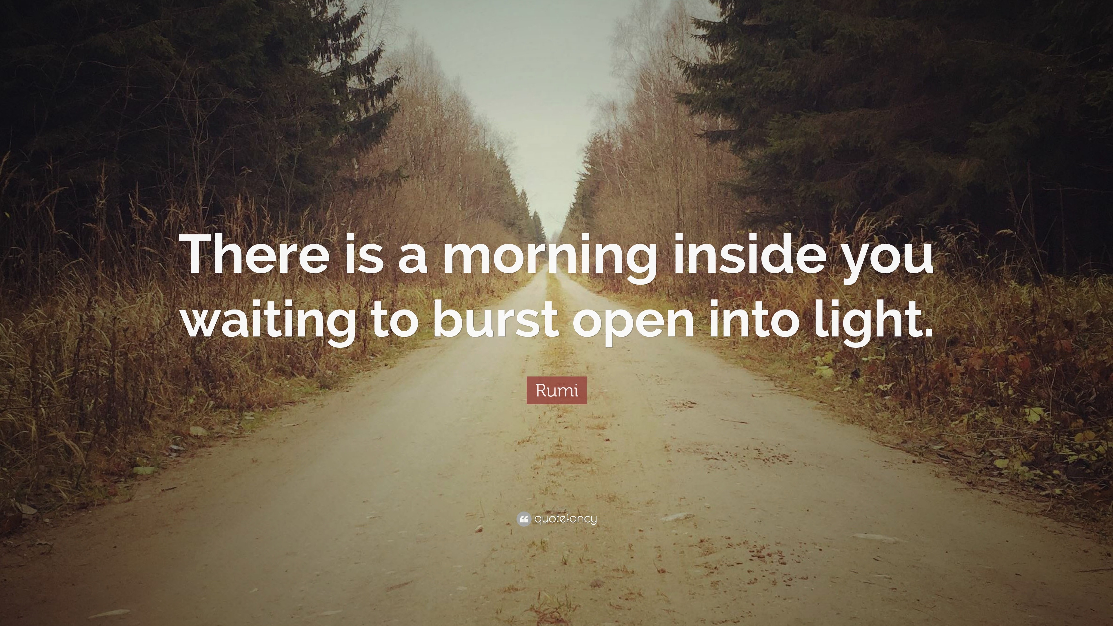 Rumi Quote: “There is a morning inside you waiting to burst open into ...