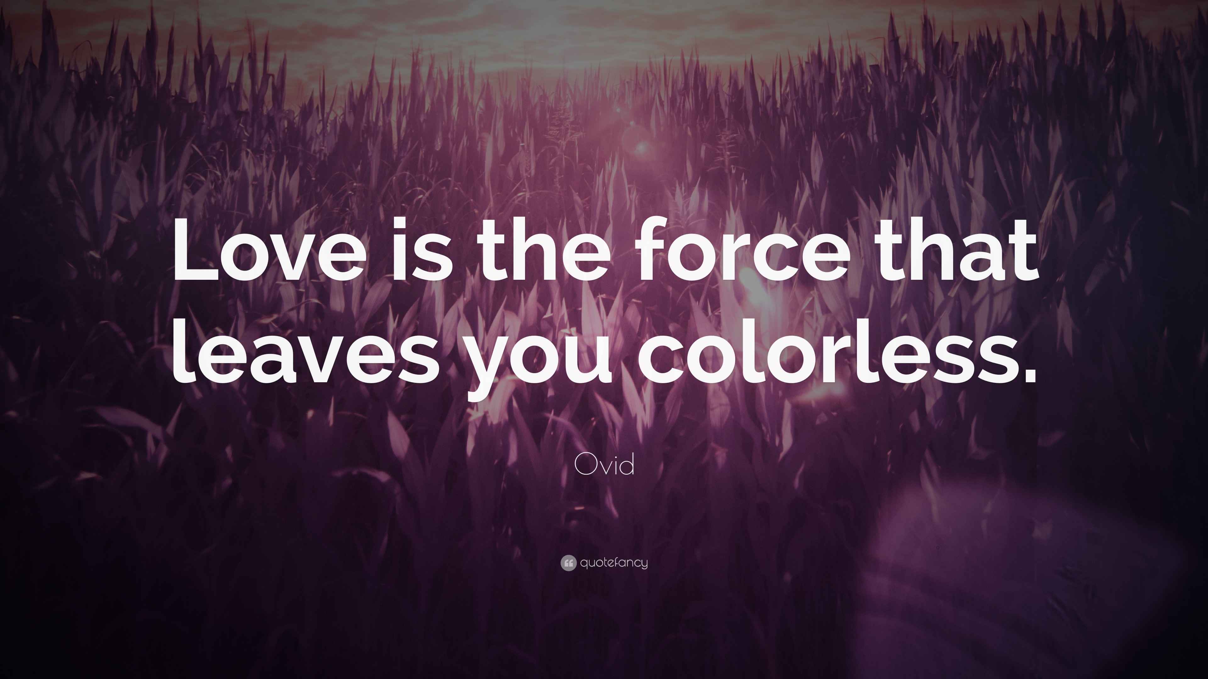 Ovid Quote: “Love is the force that leaves you colorless.”