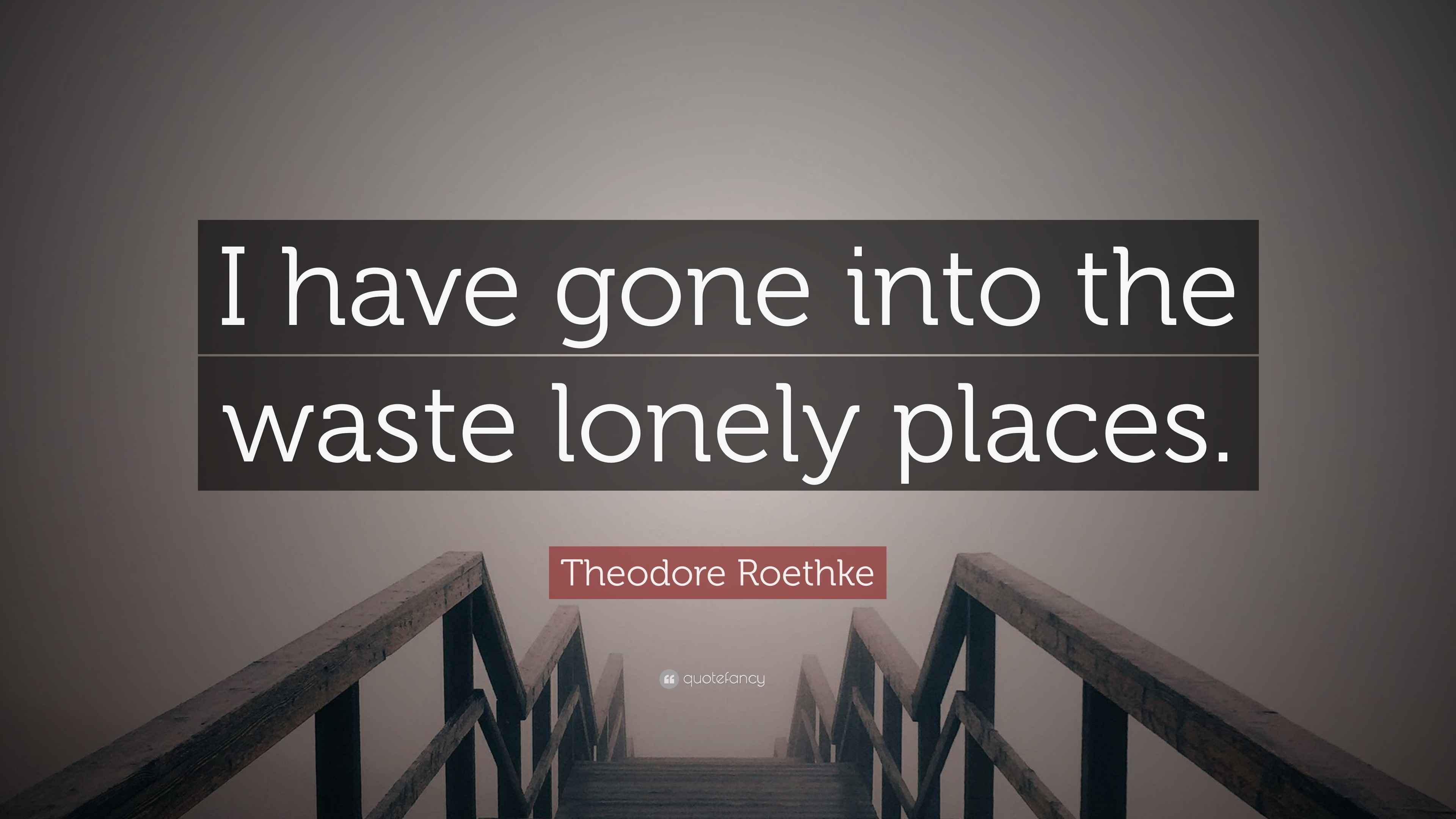 Theodore Roethke Quote: “I have gone into the waste lonely places.”