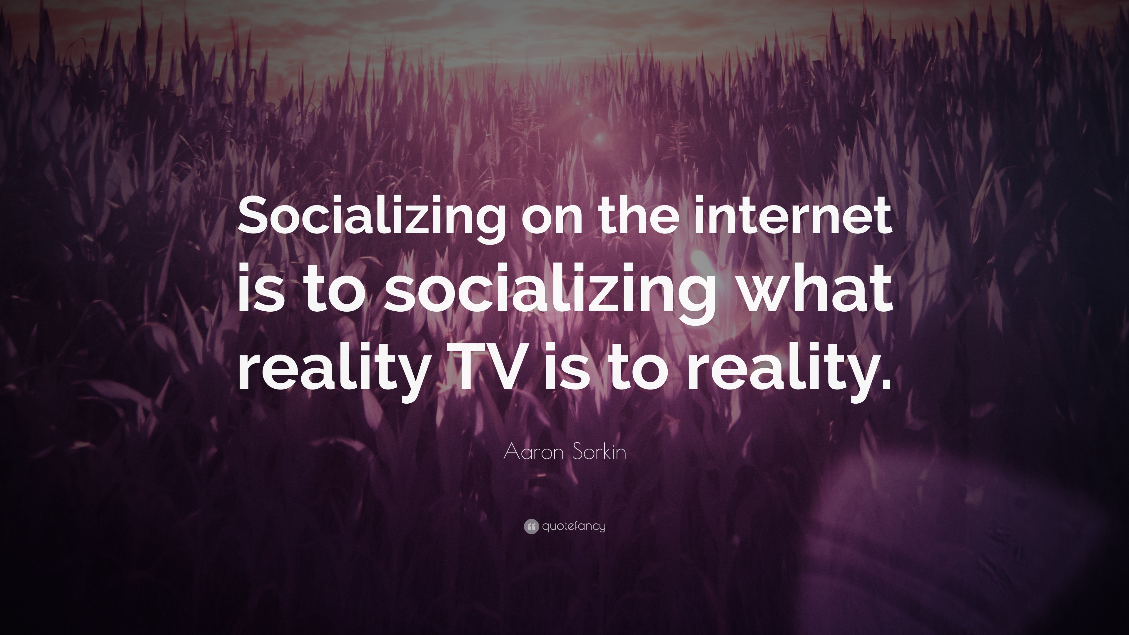 Aaron Sorkin Quote: “Socializing on the internet is to socializing what ...