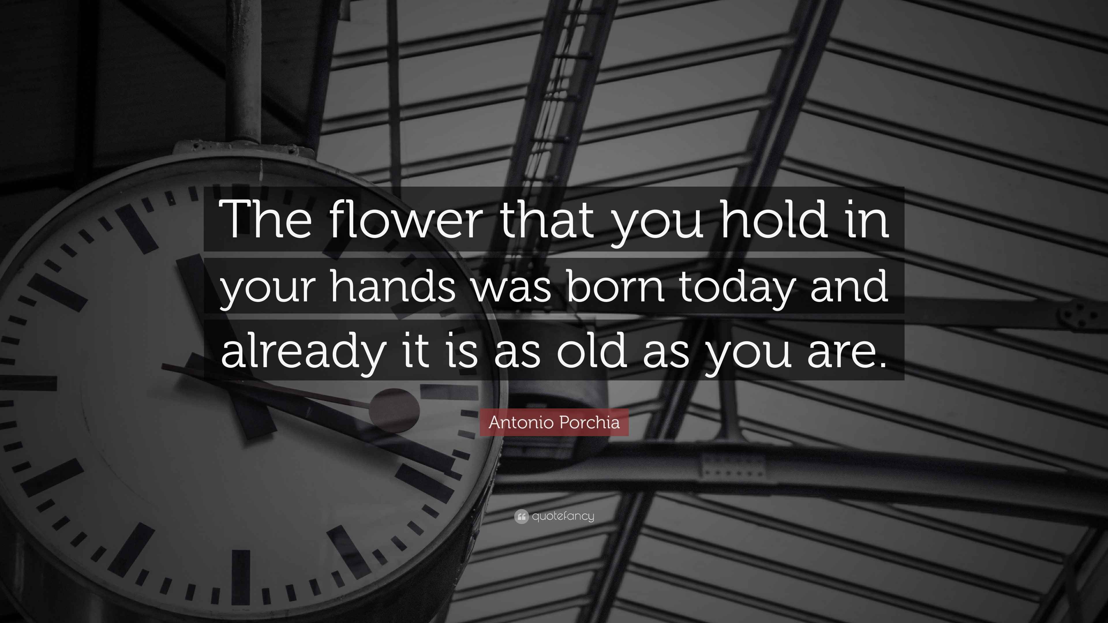 Antonio Porchia Quote: “The flower that you hold in your hands was born ...