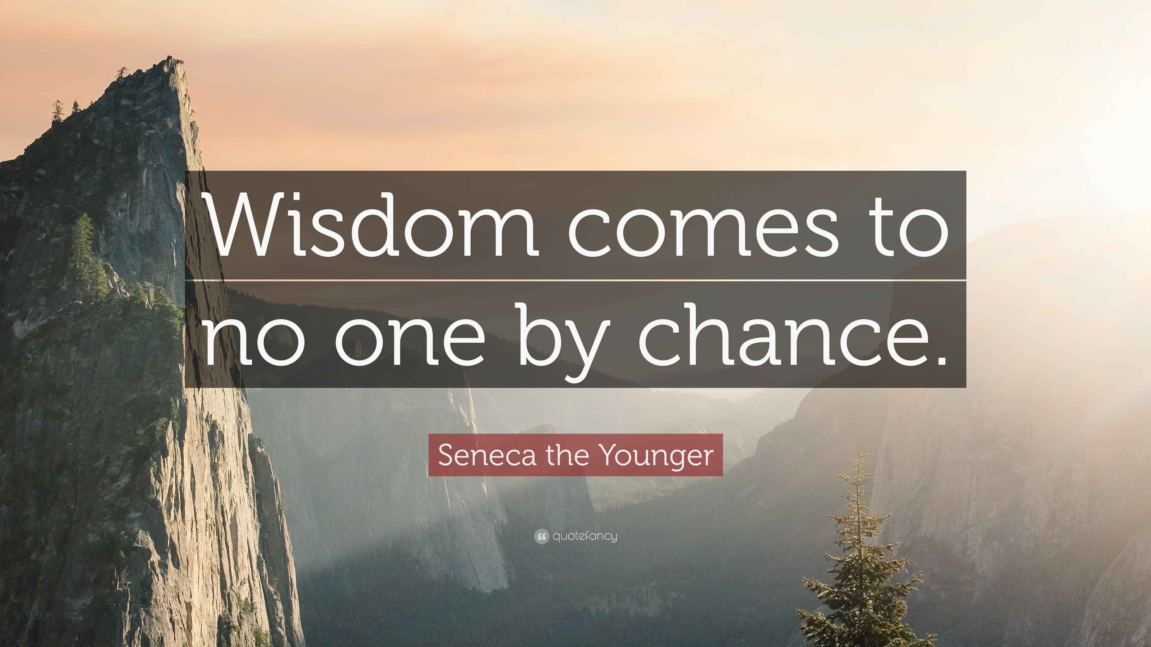 Seneca the Younger Quote: “Wisdom comes to no one by chance.”