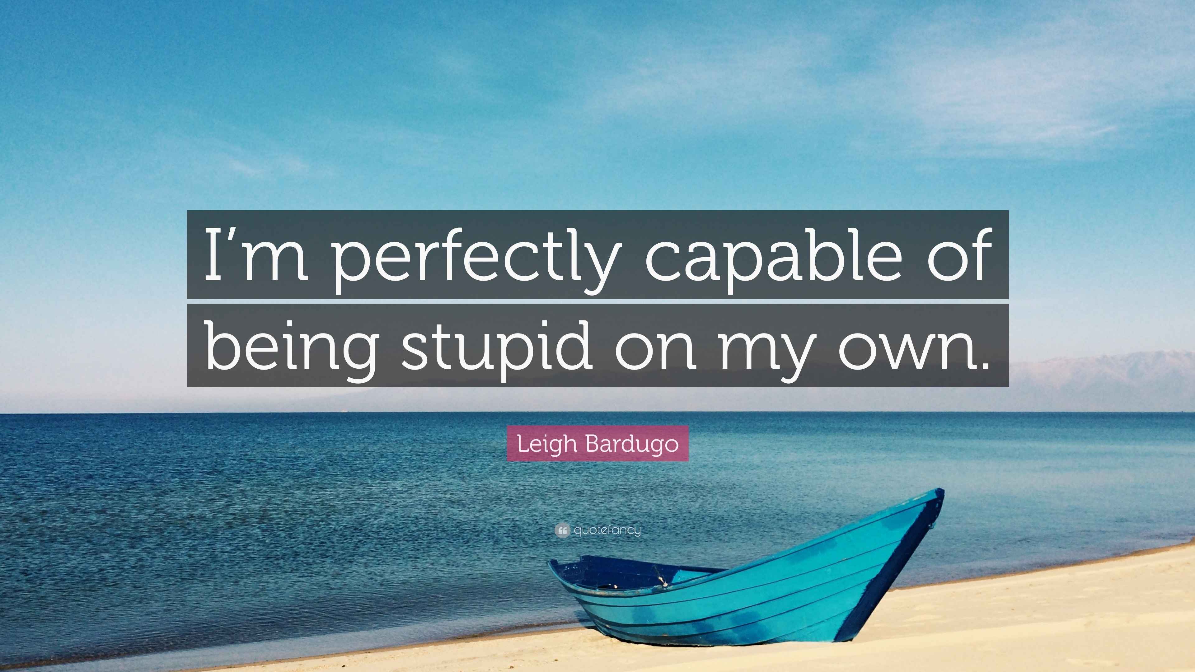 Leigh Bardugo Quote: “I’m perfectly capable of being stupid on my own.”
