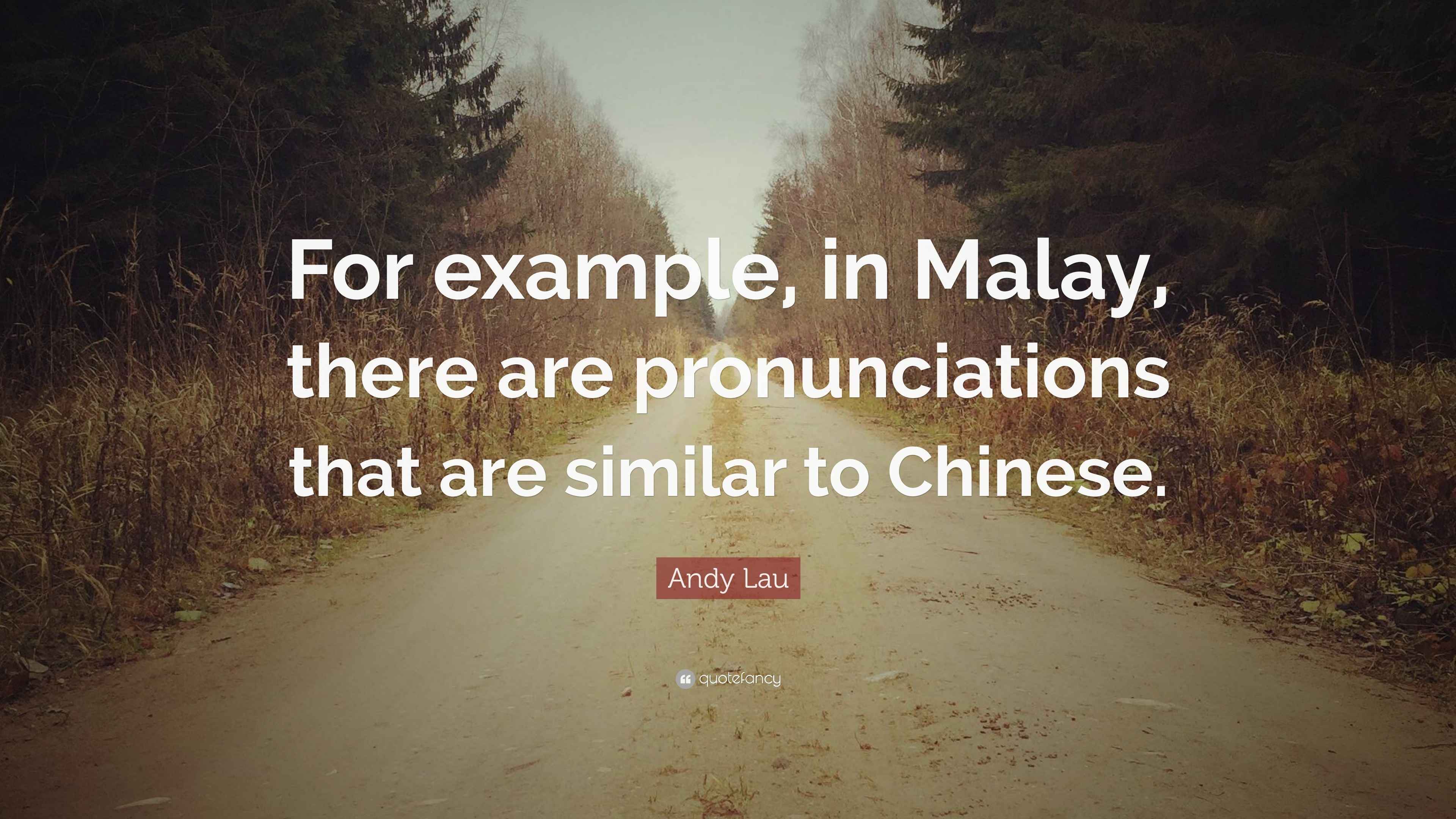 Andy Lau Quote: “For example, in Malay, there are pronunciations that ...