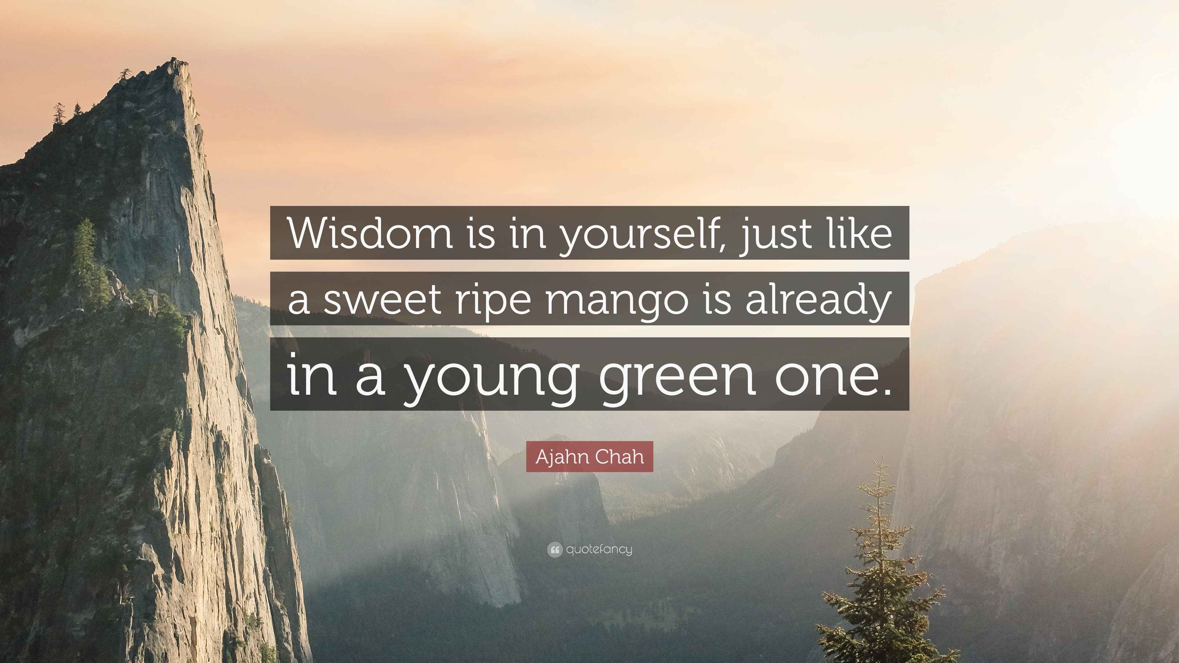 Ajahn Chah Quote: “Wisdom is in yourself, just like a sweet ripe mango ...