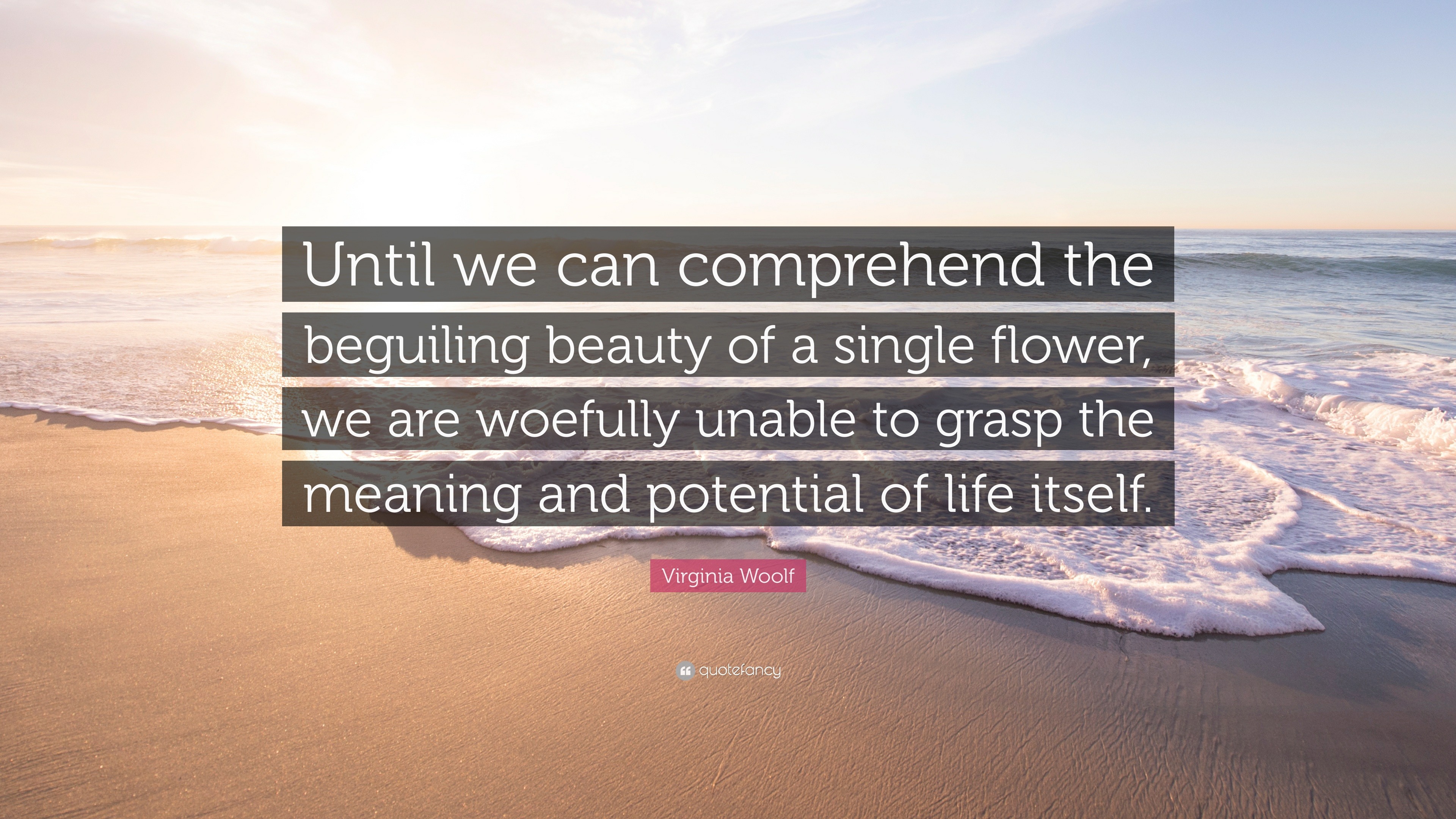 Virginia Woolf Quote: “Until we can comprehend the beguiling beauty of ...