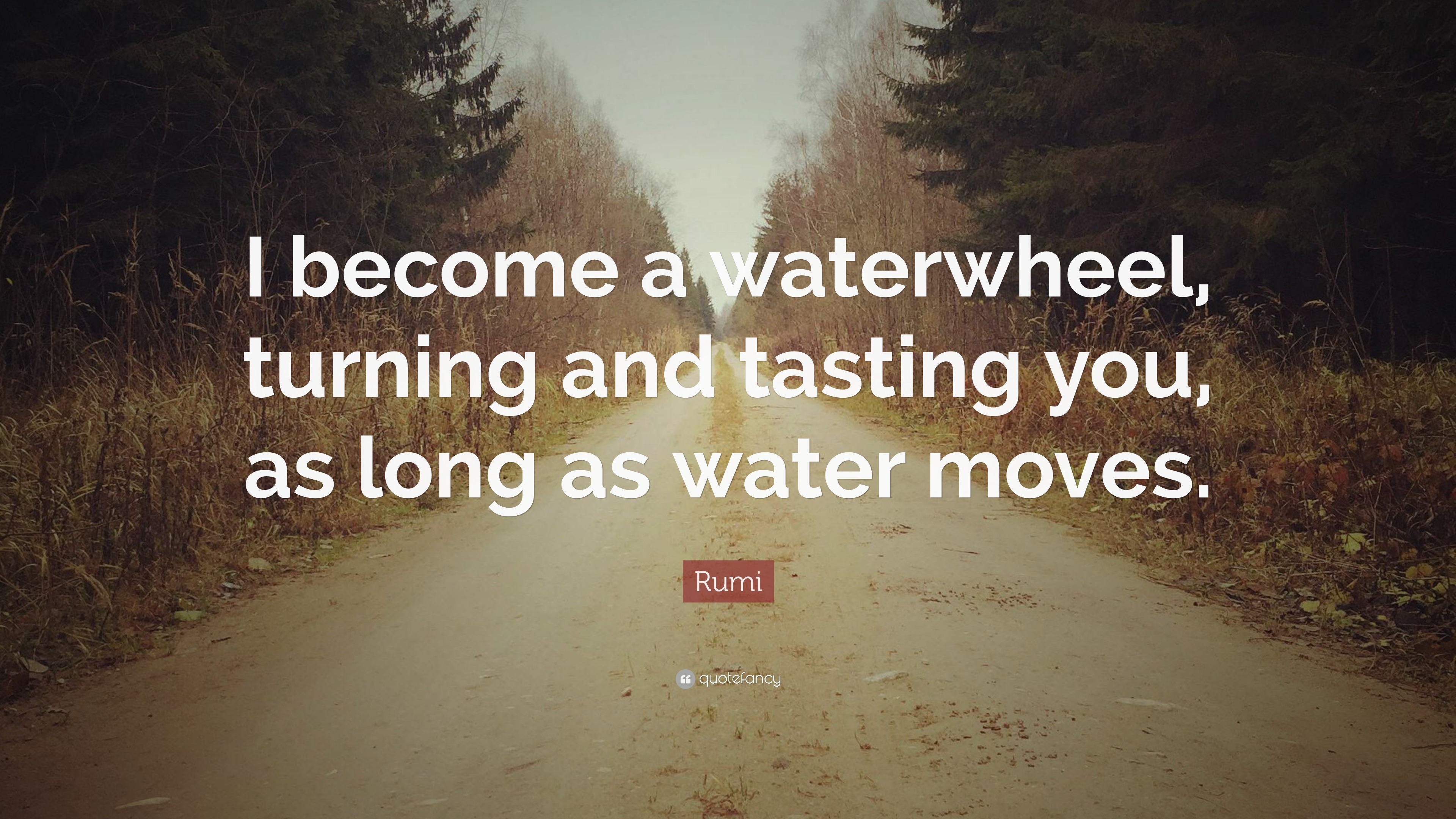 Rumi Quote: “I become a waterwheel, turning and tasting you, as long as ...