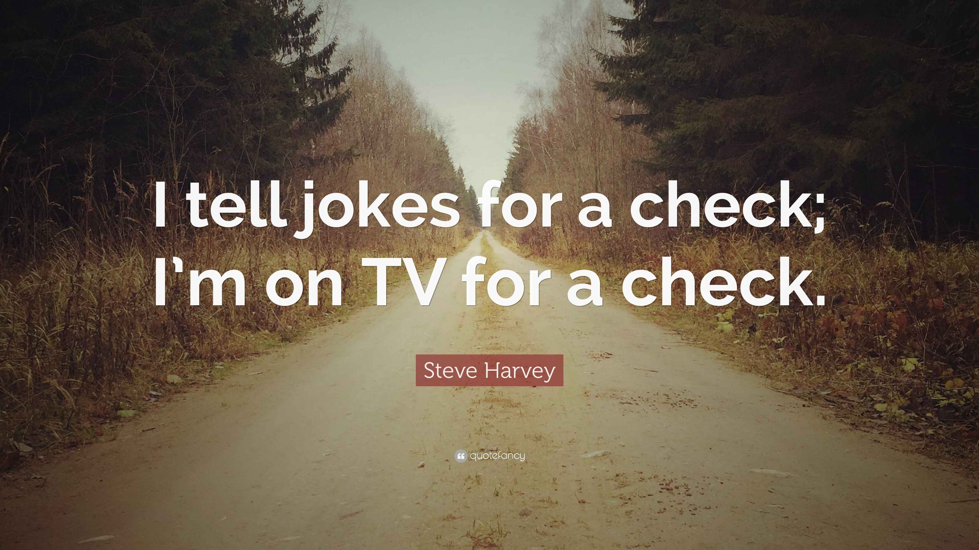 Steve Harvey Quote: “I tell jokes for a check; I’m on TV for a check.”