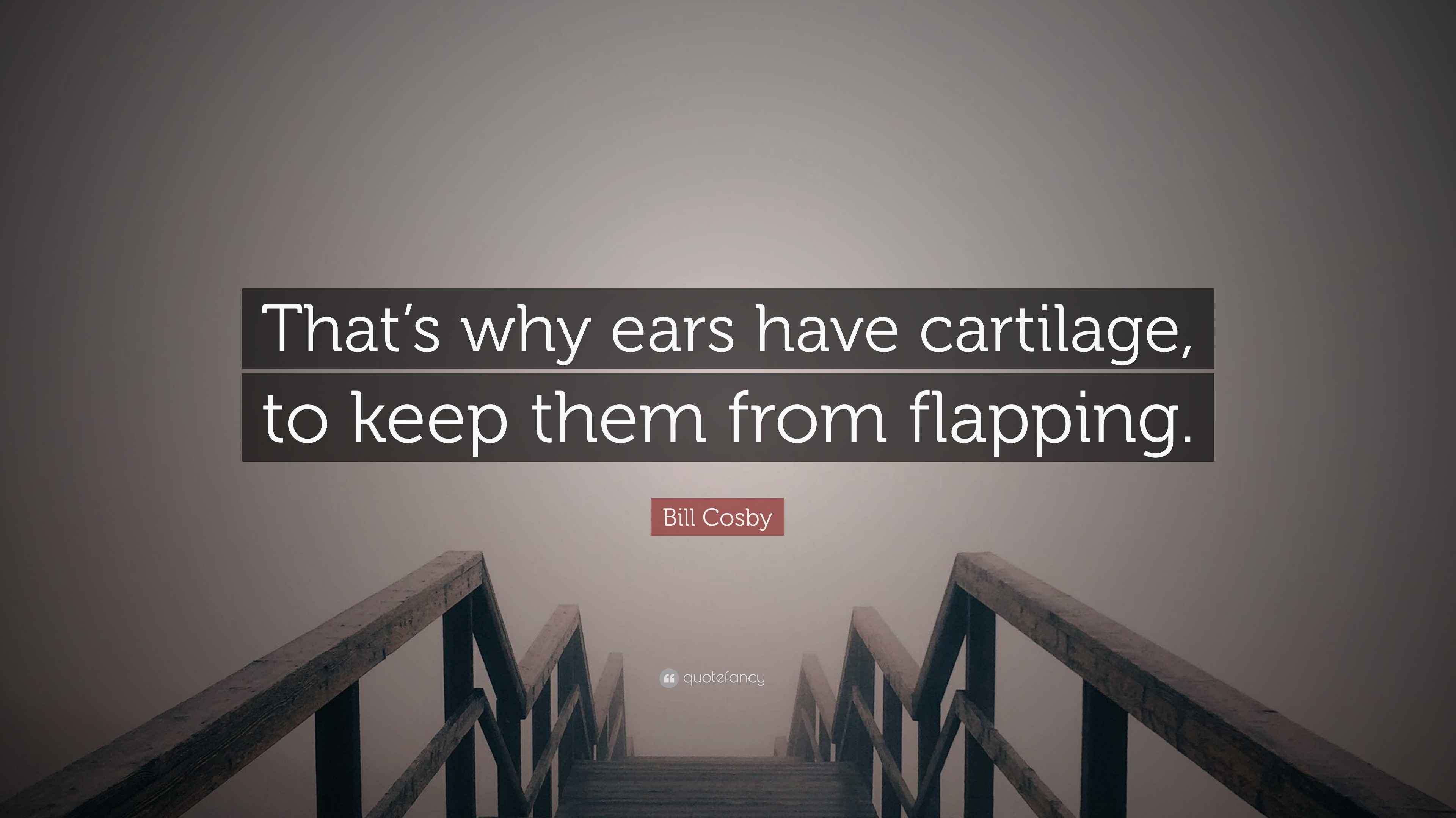 Bill Cosby Quote: “That’s why ears have cartilage, to keep them from ...