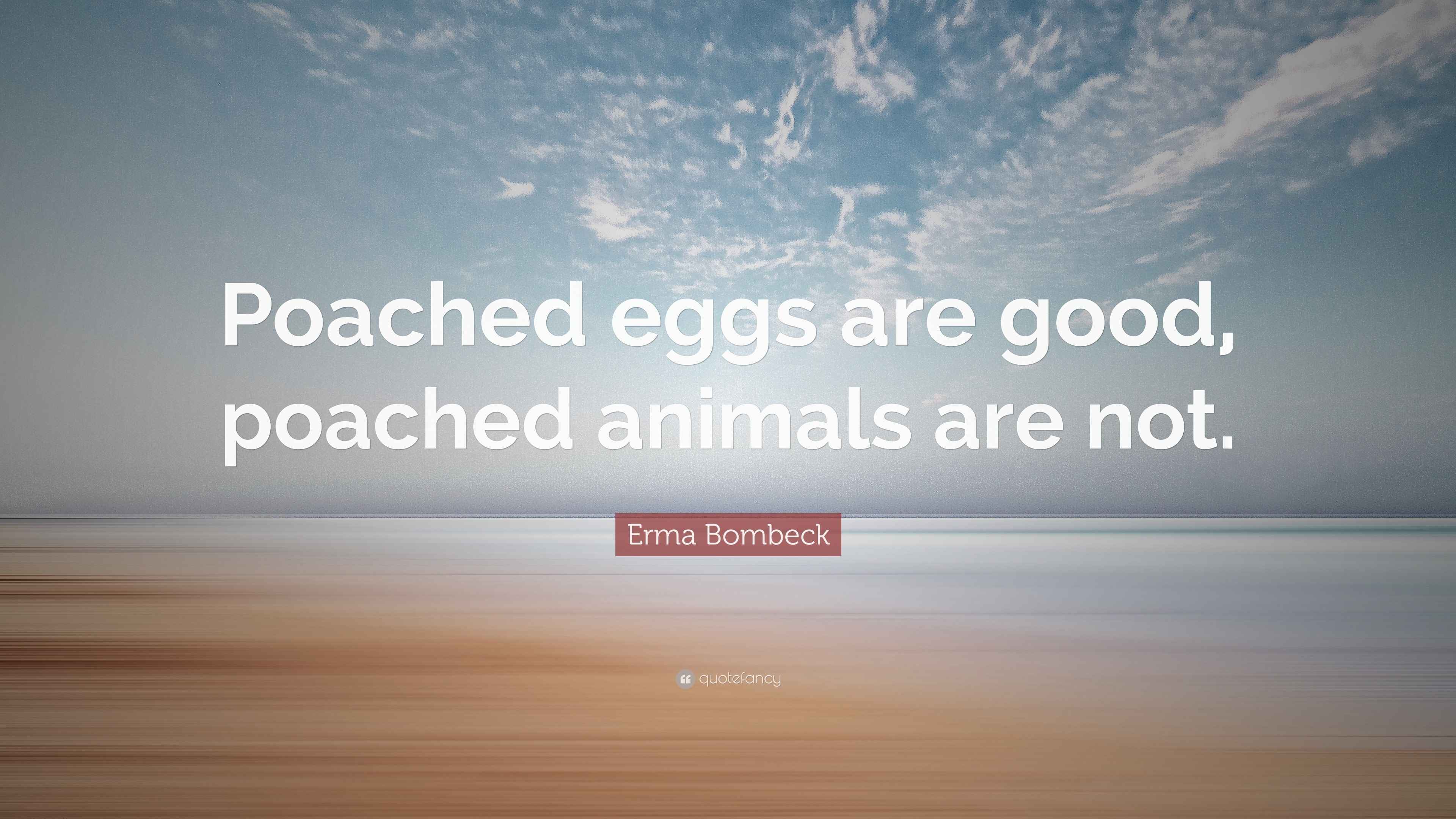 Erma Bombeck Quote: “Poached eggs are good, poached animals are not.”
