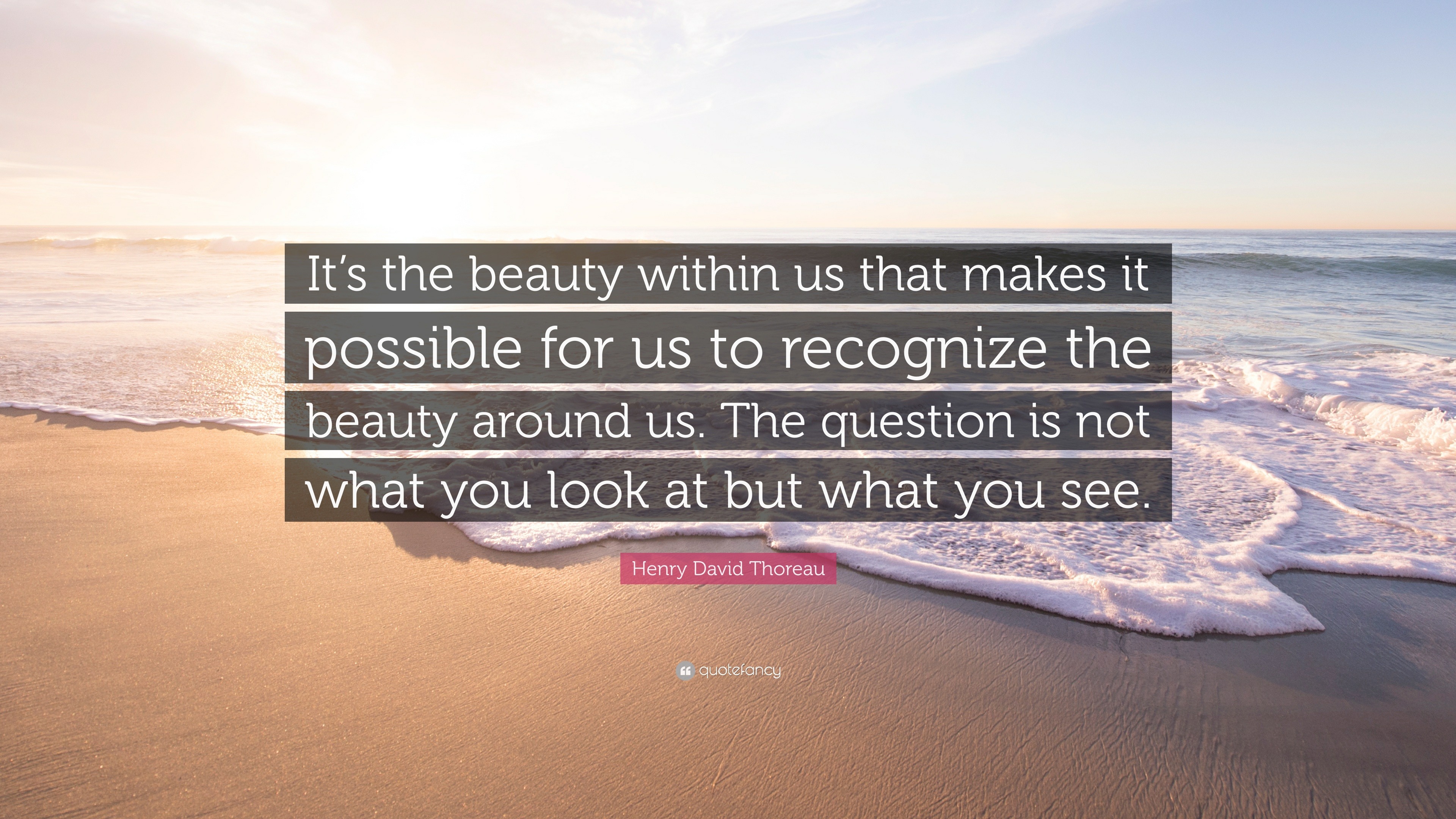 Henry David Thoreau Quote: “It’s the beauty within us that makes it ...