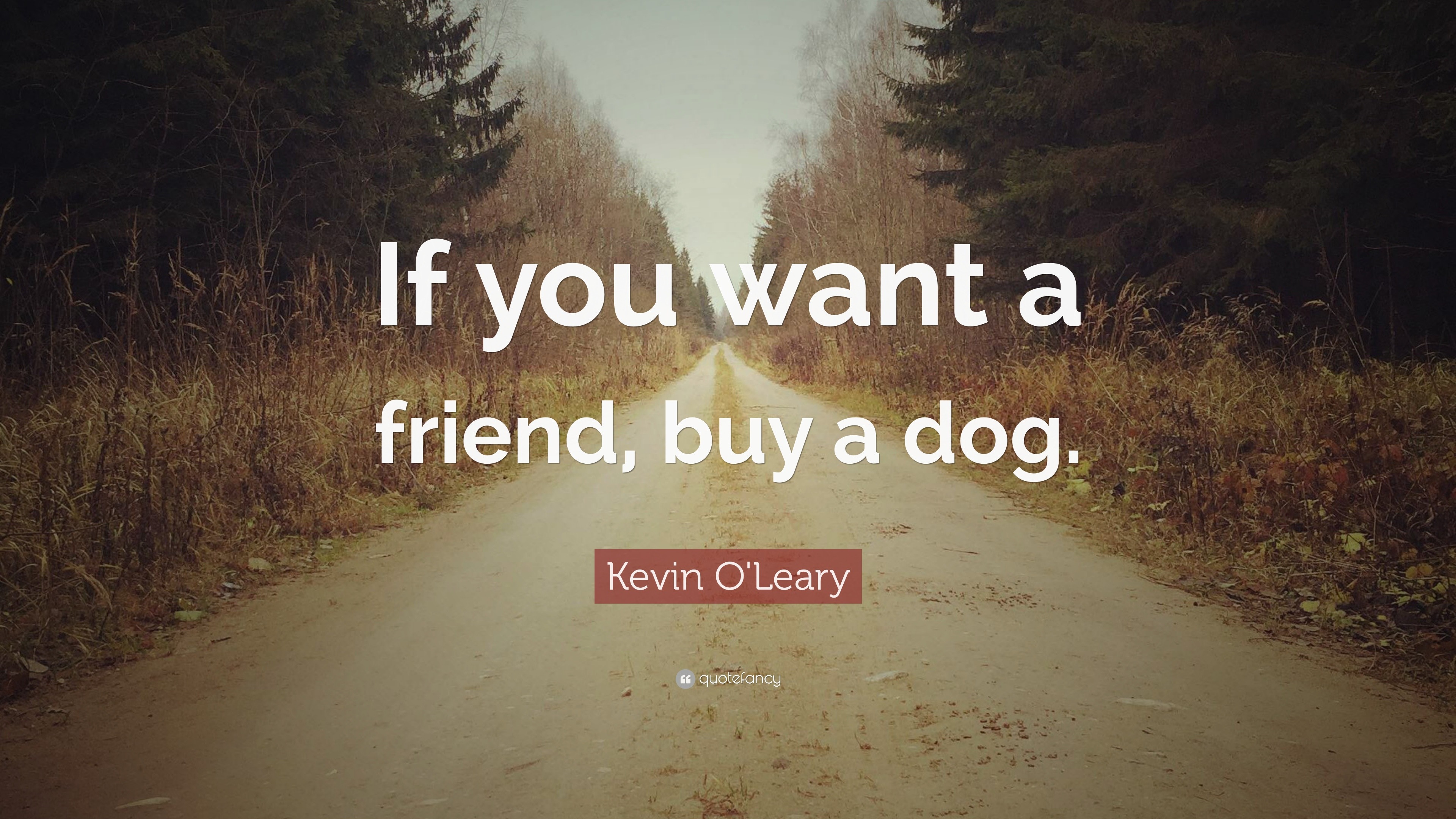 Kevin O'Leary Quote: “If you want a friend, buy a dog.”