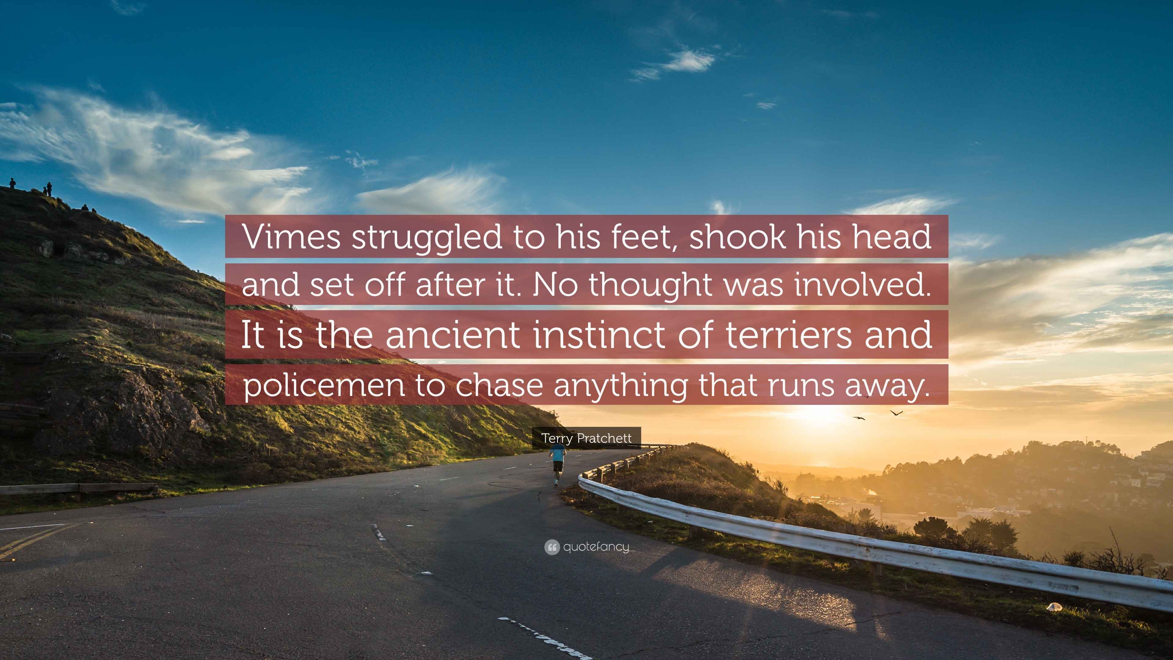 Terry Pratchett Quote: “Vimes struggled to his feet, shook his head and ...