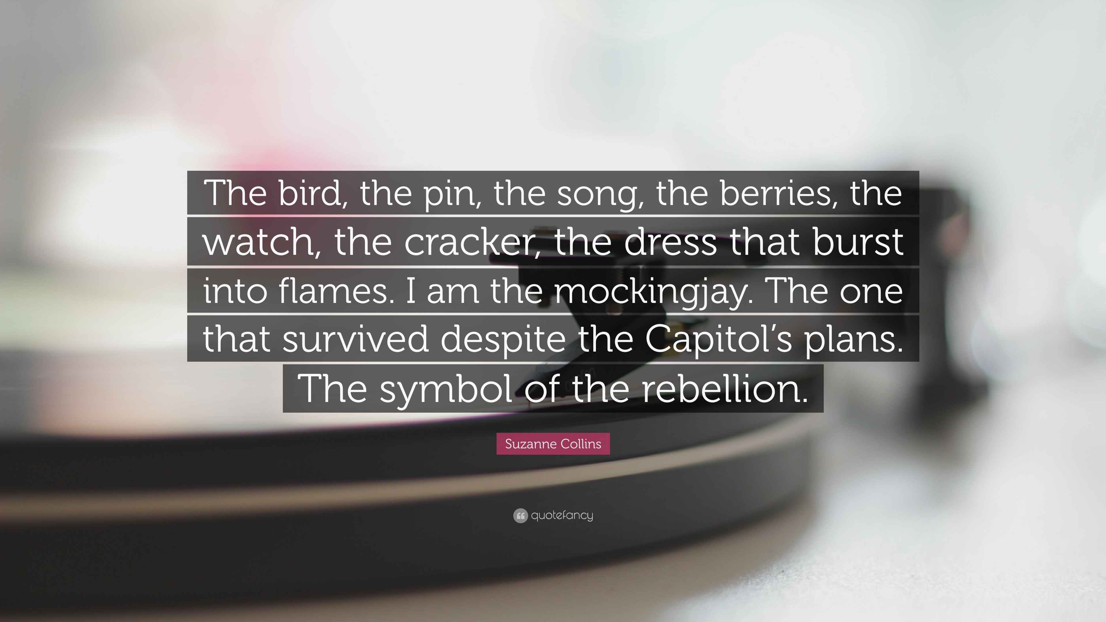 Suzanne Collins Quote: “The bird, the pin, the song, the berries, the ...