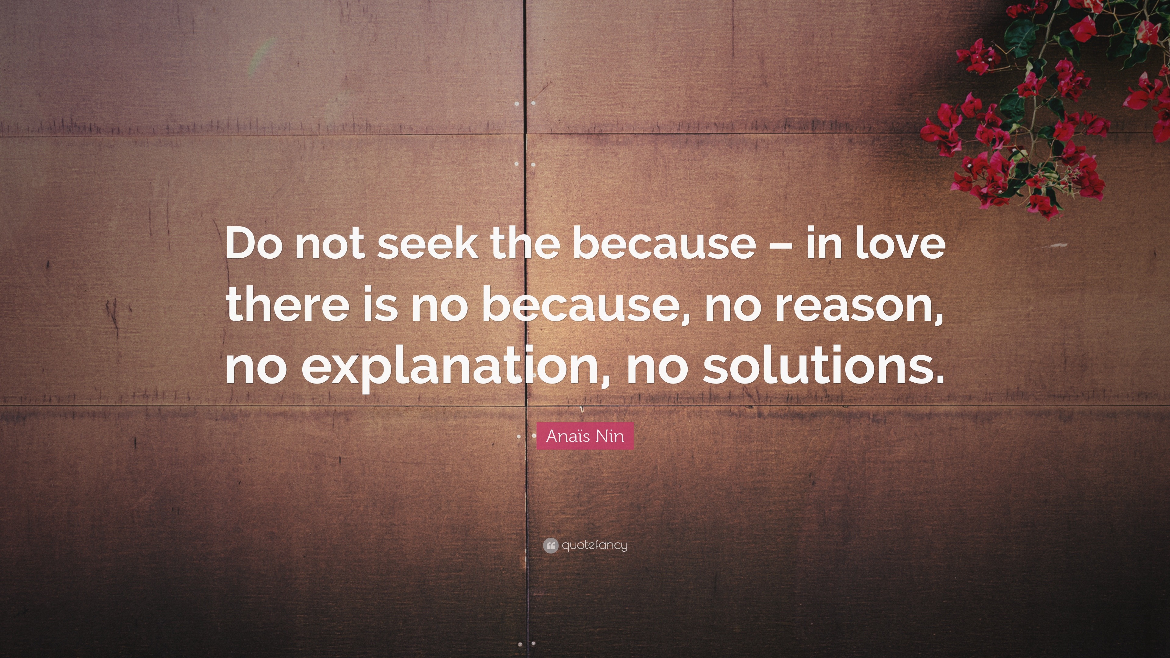 Anaïs Nin Quote: “Do not seek the because – in love there is no because ...