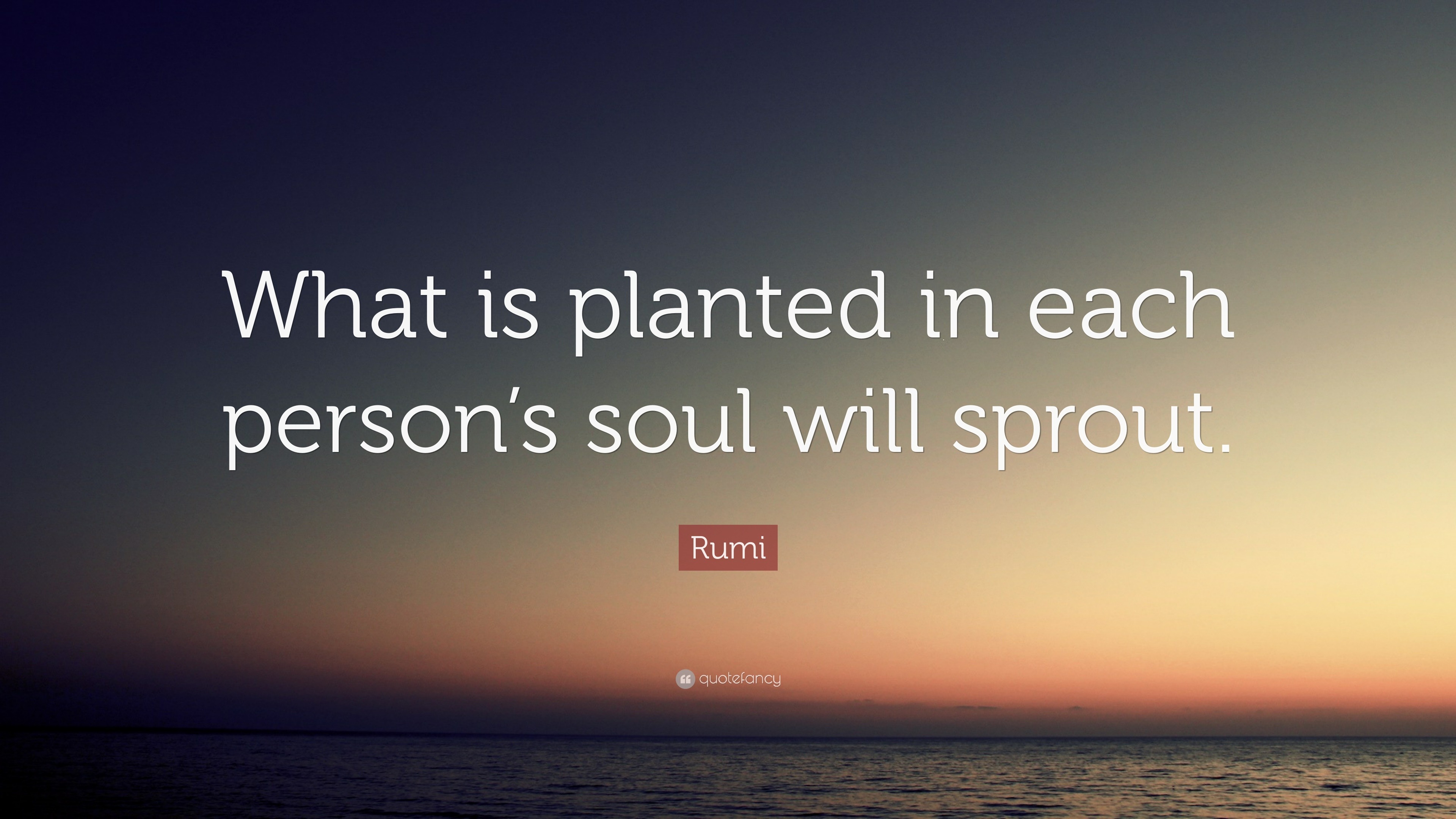 Rumi Quote: “What is planted in each person’s soul will sprout.”