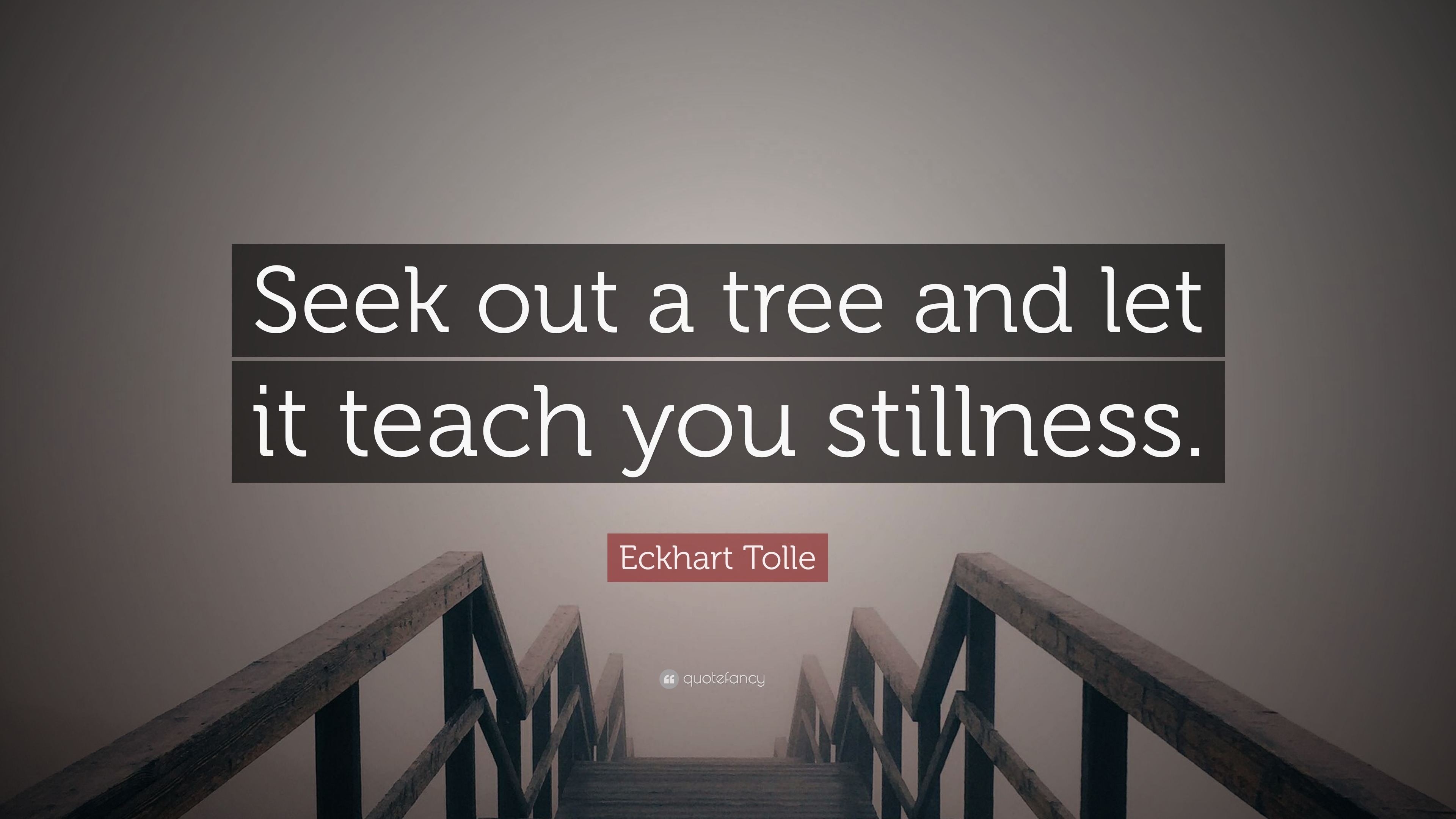 Eckhart Tolle Quote: “Seek out a tree and let it teach you stillness.”