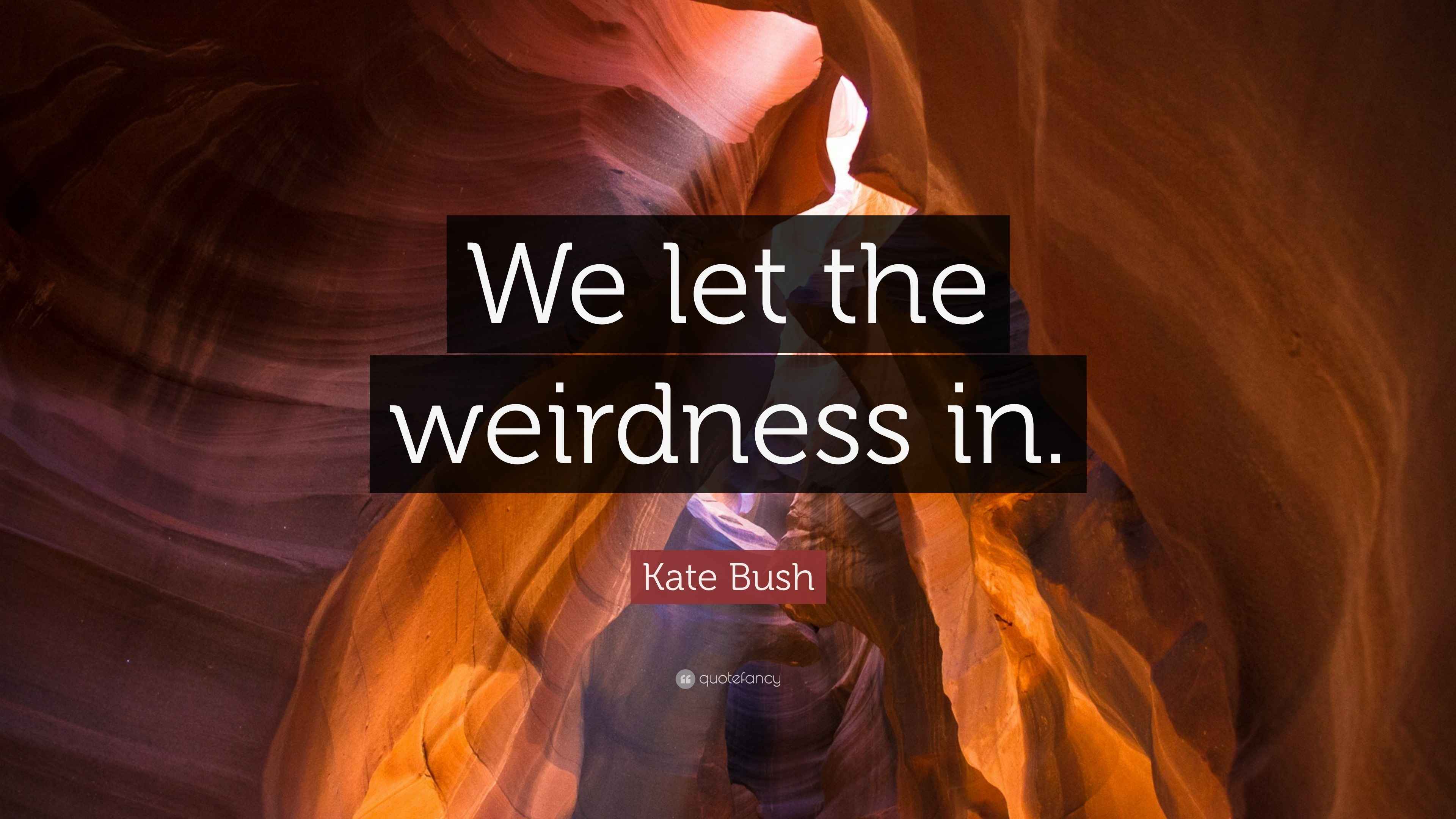 Kate Bush Quote: “We let the weirdness in.”